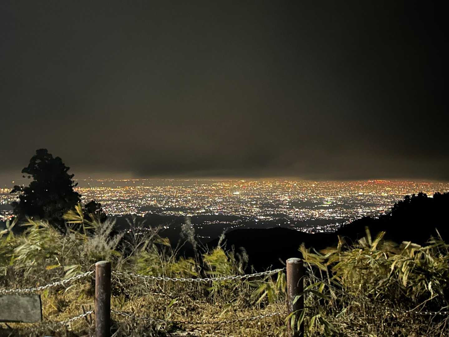 もみじ谷⤴️ もみじ尾根⤵️ / takaoさんの金剛山・二上山・大和葛城山の活動データ | YAMAP / ヤマップ