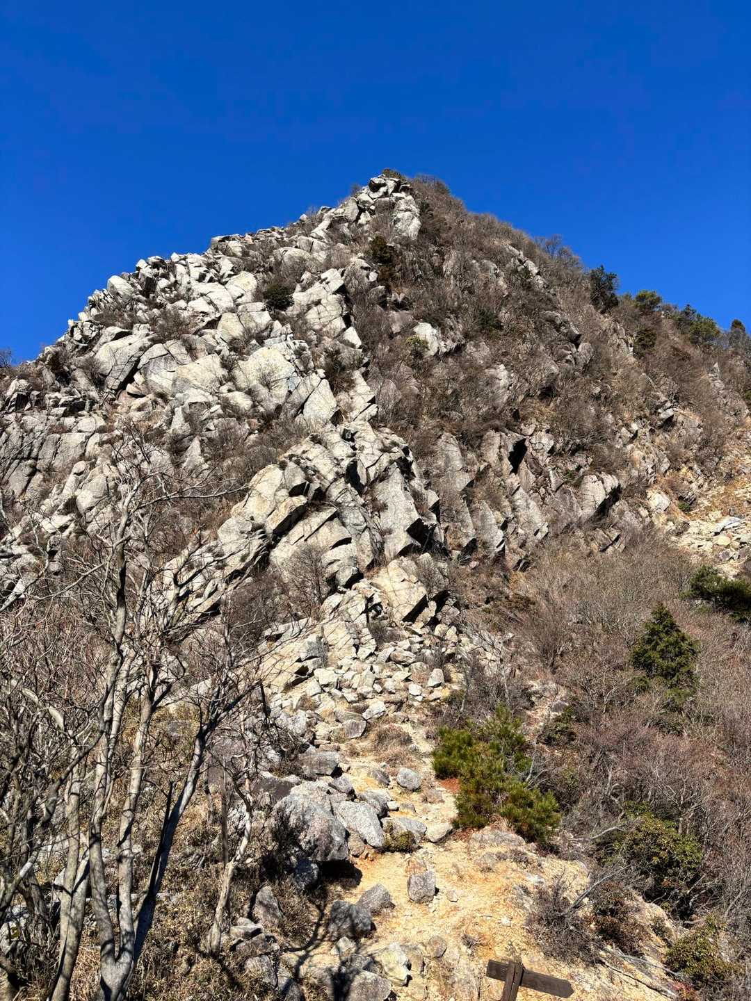 雲母峰Ⅱ峰・雲母峰・雲母西峰・P791・鎌ヶ岳 / guga0621さんの入道ヶ岳・鎌ヶ岳・仙ヶ岳の活動データ | YAMAP / ヤマップ