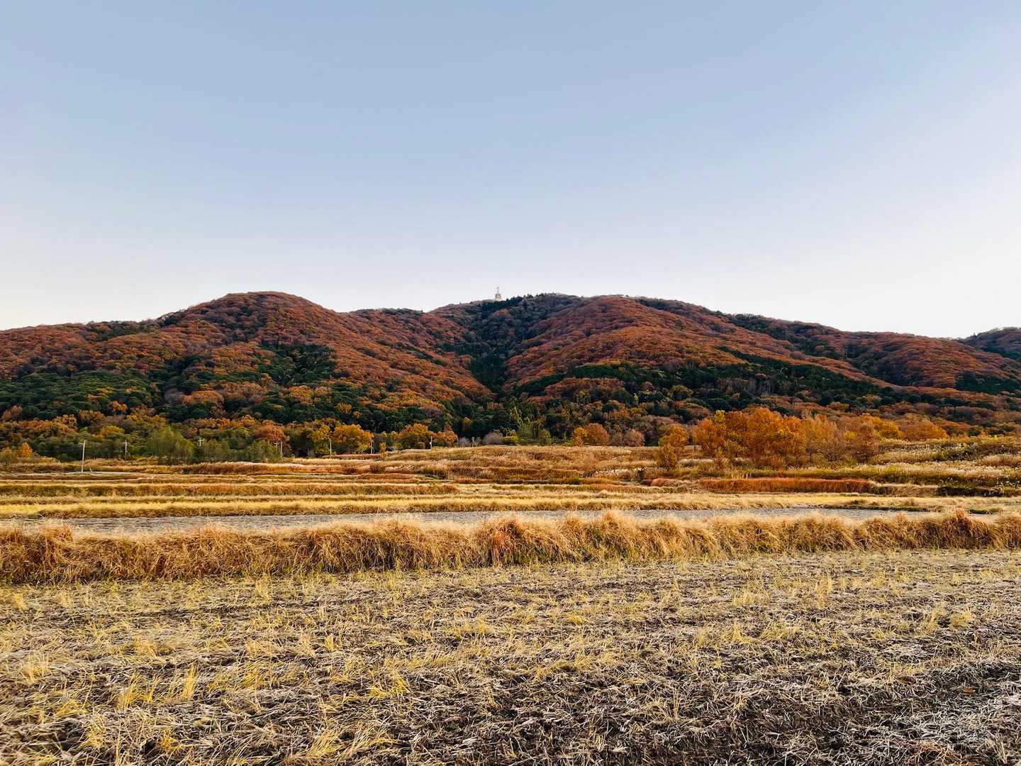 尖浅間山・宝篋山・富岡山 / TAKU-LOWさんの宝篋山・富岡山の活動データ | YAMAP / ヤマップ