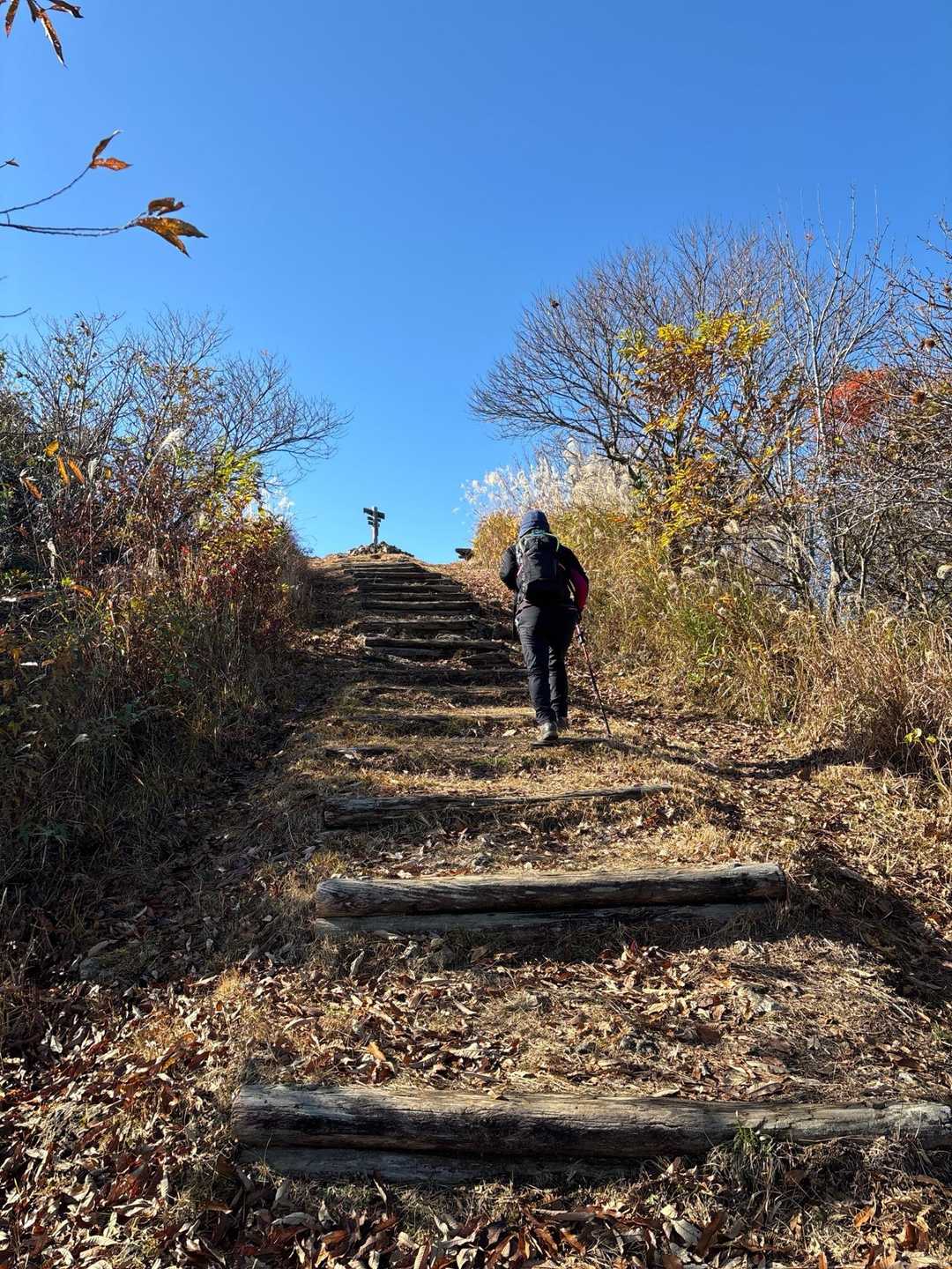 東鳳翩山 / やまんばさんの東鳳翩山・西鳳翩山・鴻ノ峰の活動データ | YAMAP / ヤマップ