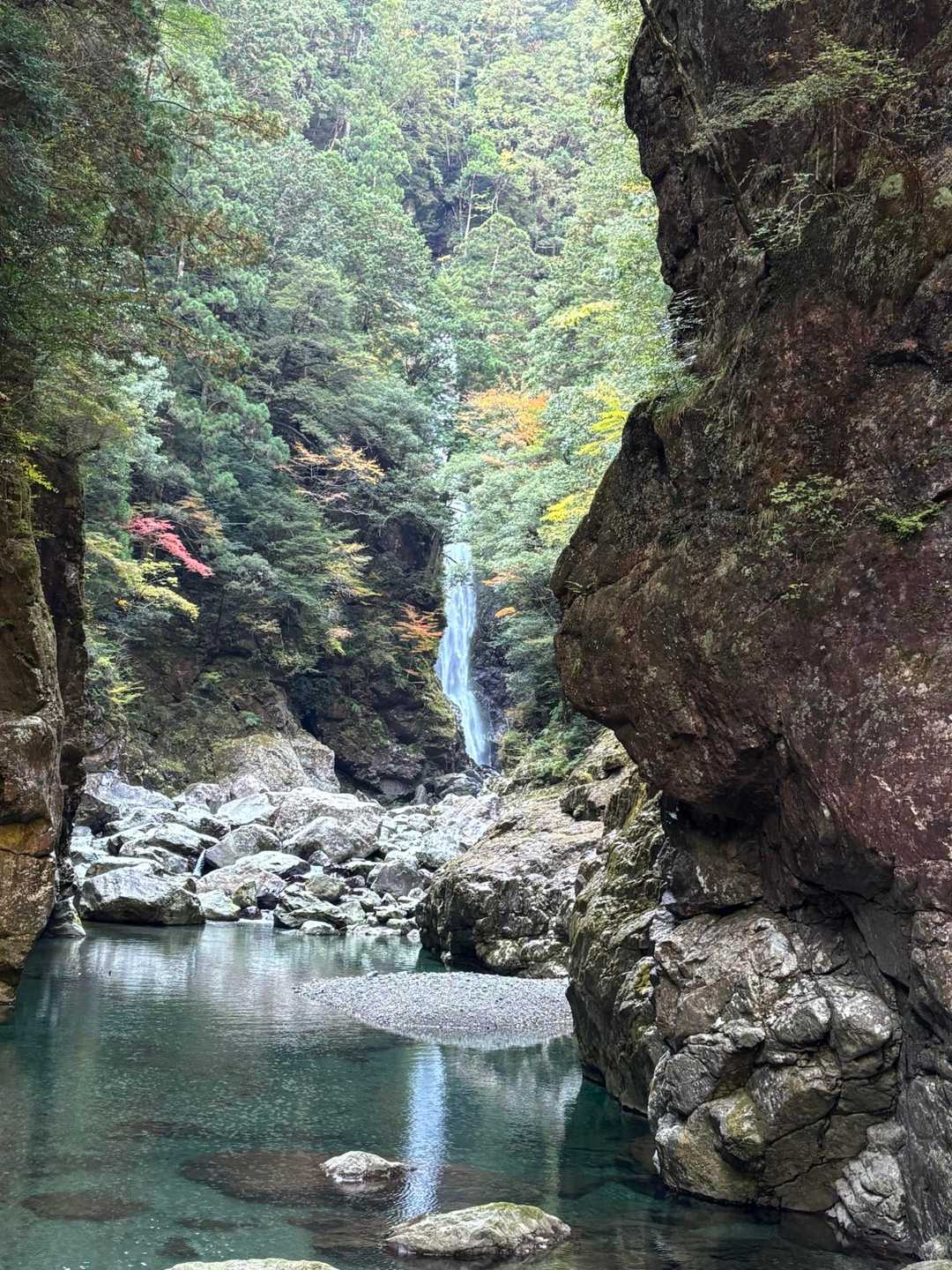 大台ヶ原山・日出ヶ岳・大杉谷-2025-11-16 / ヒロさんの大台ヶ原山・日出ヶ岳・大杉谷の活動データ | YAMAP / ヤマップ