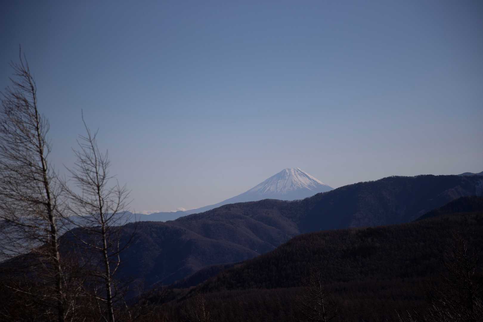 入笠山スノーシュー / tshimaさんの入笠山の活動データ | YAMAP / ヤマップ