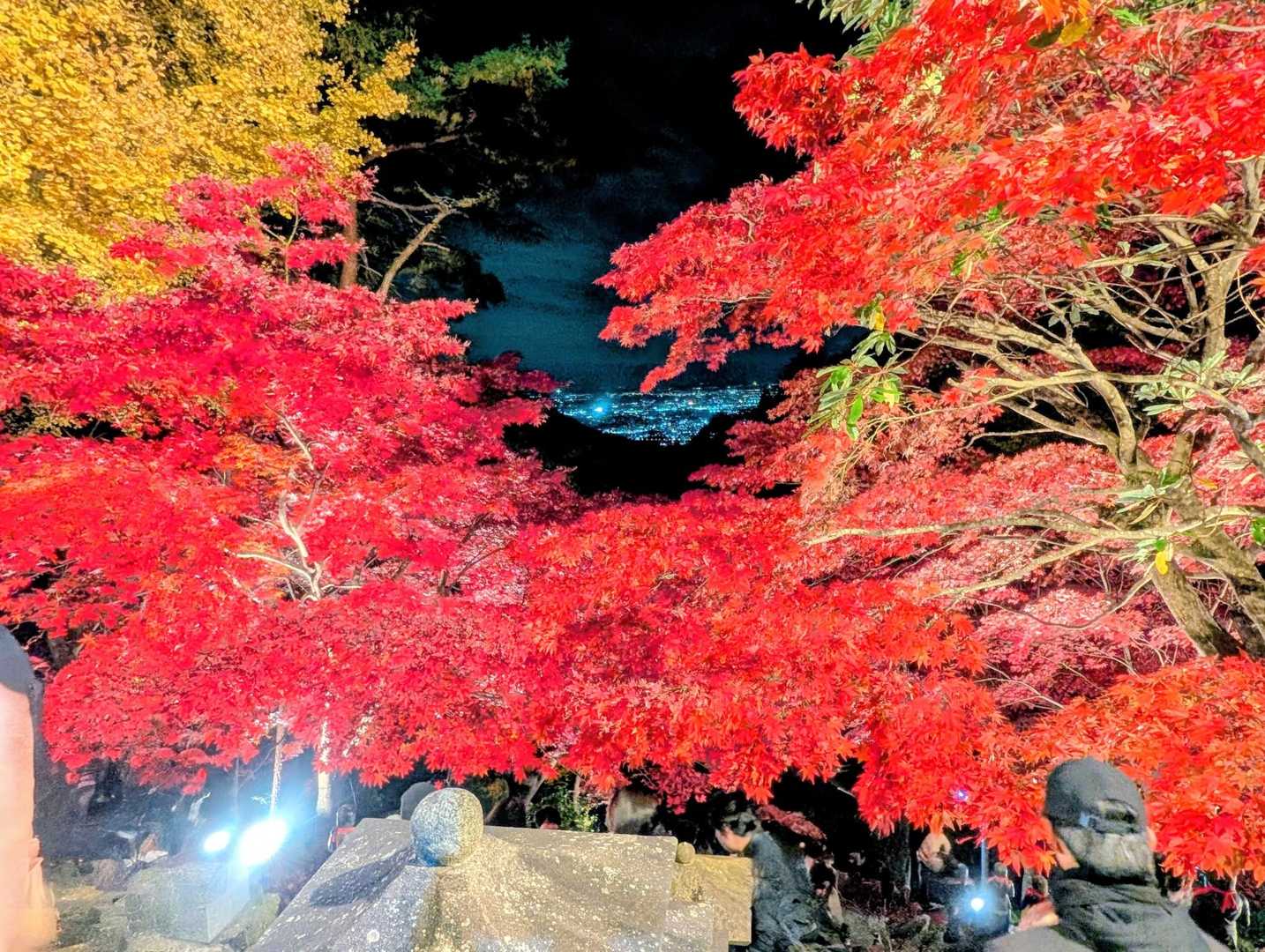 大山ライトアップ紅葉へ🍁 / ケンイチさんの大山の活動データ | YAMAP / ヤマップ