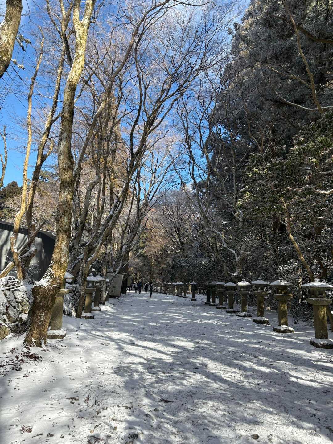 愛宕山トレーニング🏋️‍♀️ ️ / のんさんの愛宕山・三頭山・朝日峯の活動データ | YAMAP / ヤマップ