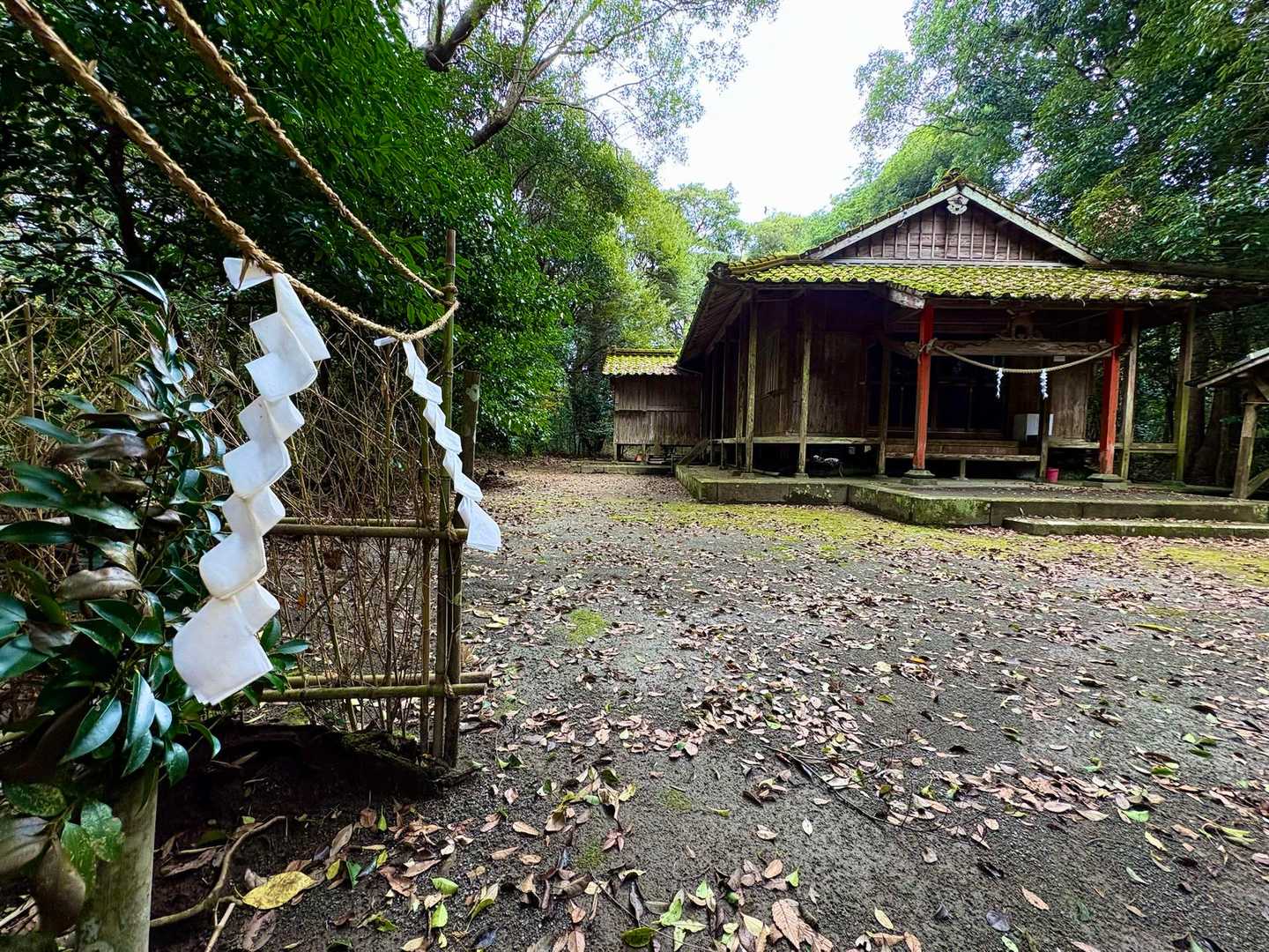 違うネコ😼猫岳・諏訪山 / ピーさんの薩摩川内市の活動データ | YAMAP / ヤマップ