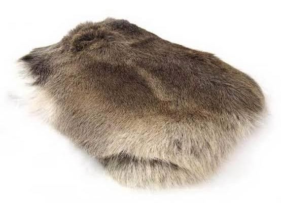 茨城のジャンダルム・奥久慈男体山 / リーヤンさんの奥久慈男体山・月居山・篭岩（篭岩山）の活動データ | YAMAP / ヤマップ