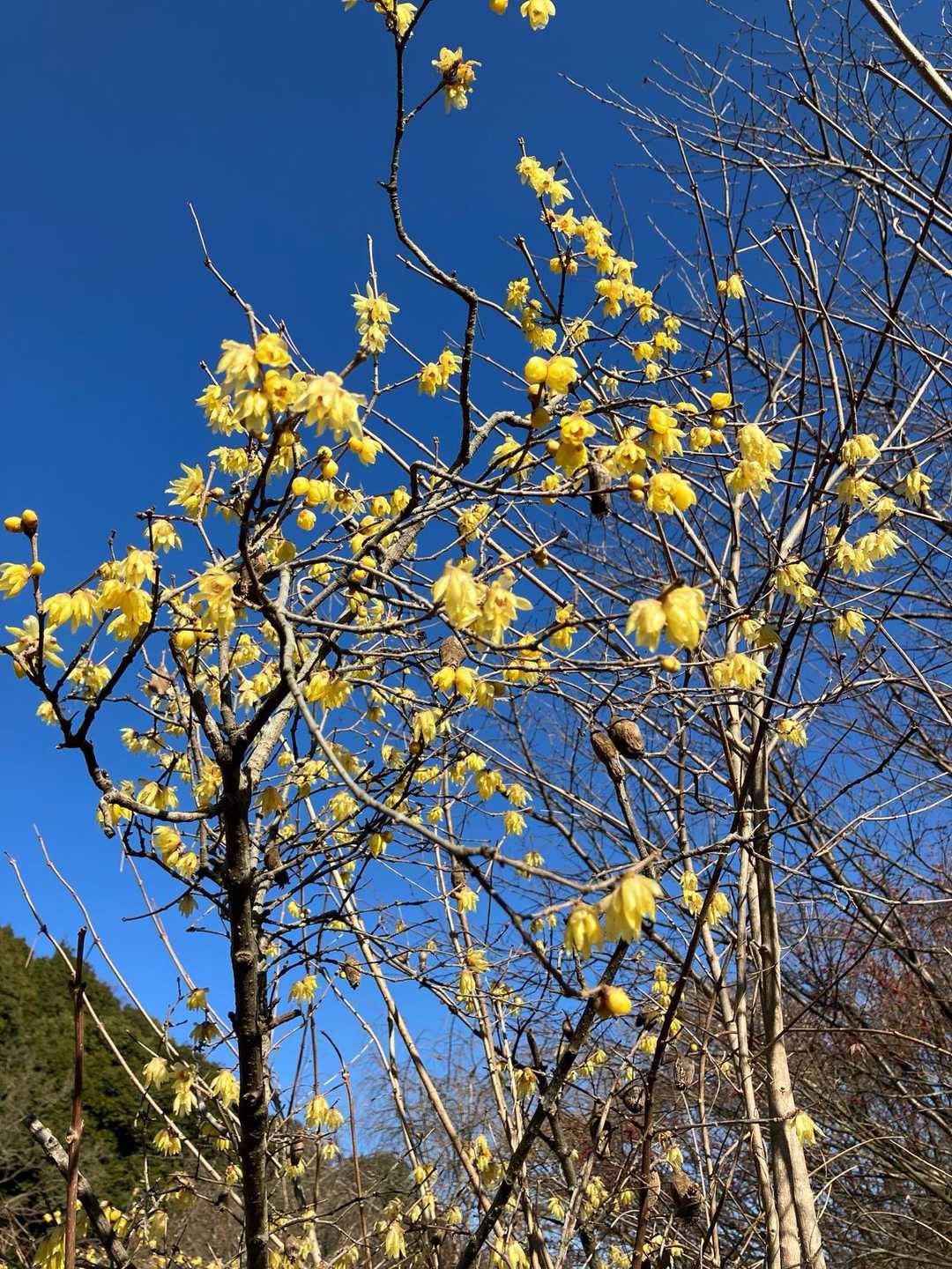 四季の森公園 / てら8335さんの鶴見川流域ウォーキングMAP（尾根歩き編）の活動データ | YAMAP / ヤマップ