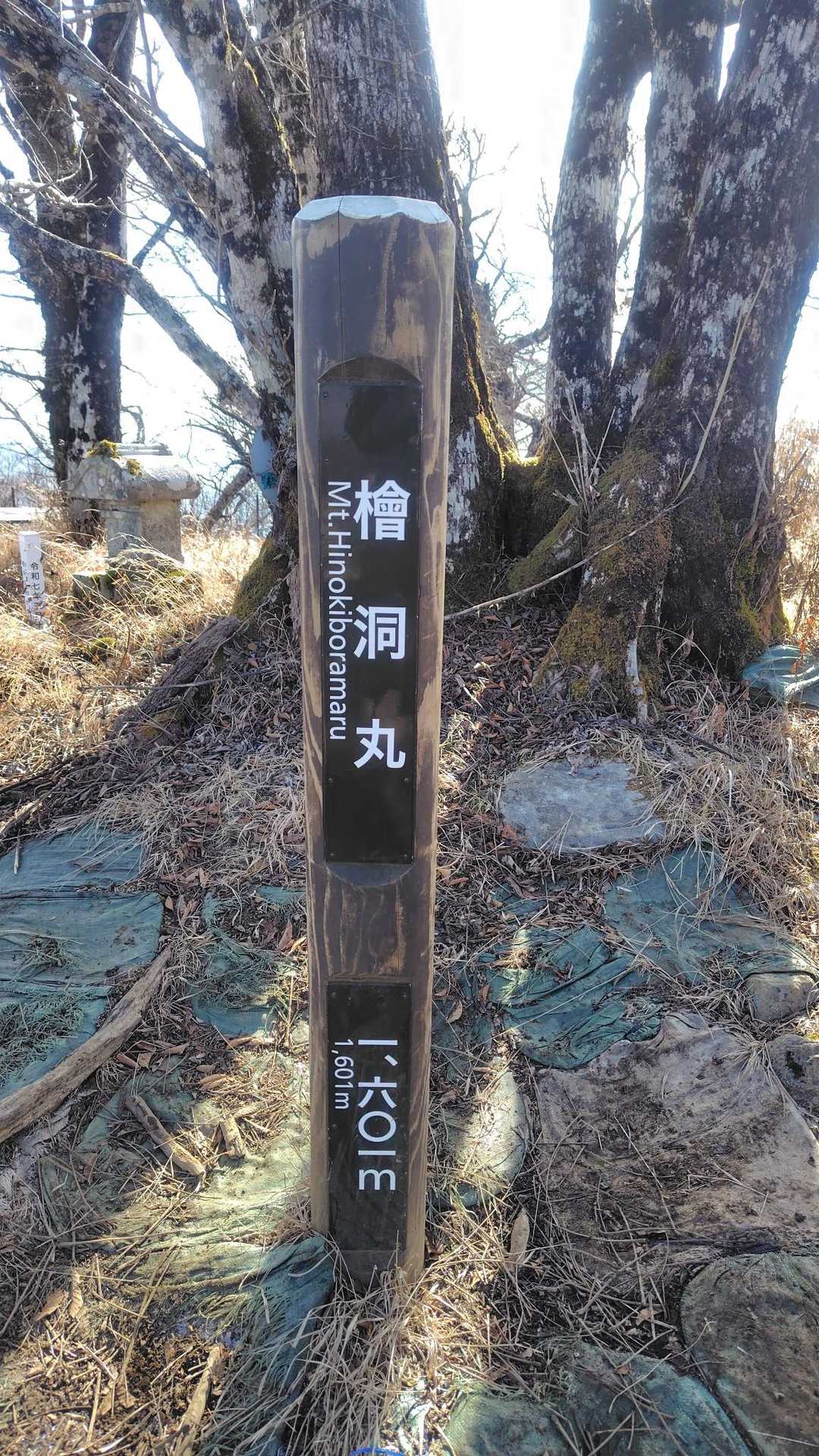 檜洞丸 / MARLOWEさんの塔ノ岳・丹沢山・蛭ヶ岳の活動データ | YAMAP / ヤマップ