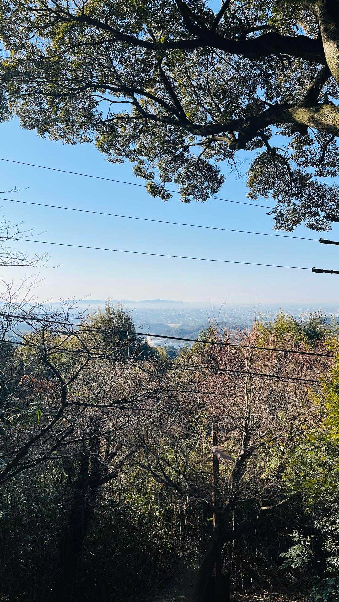 村積山 / HIRO♪さんの村積山の活動データ | YAMAP / ヤマップ