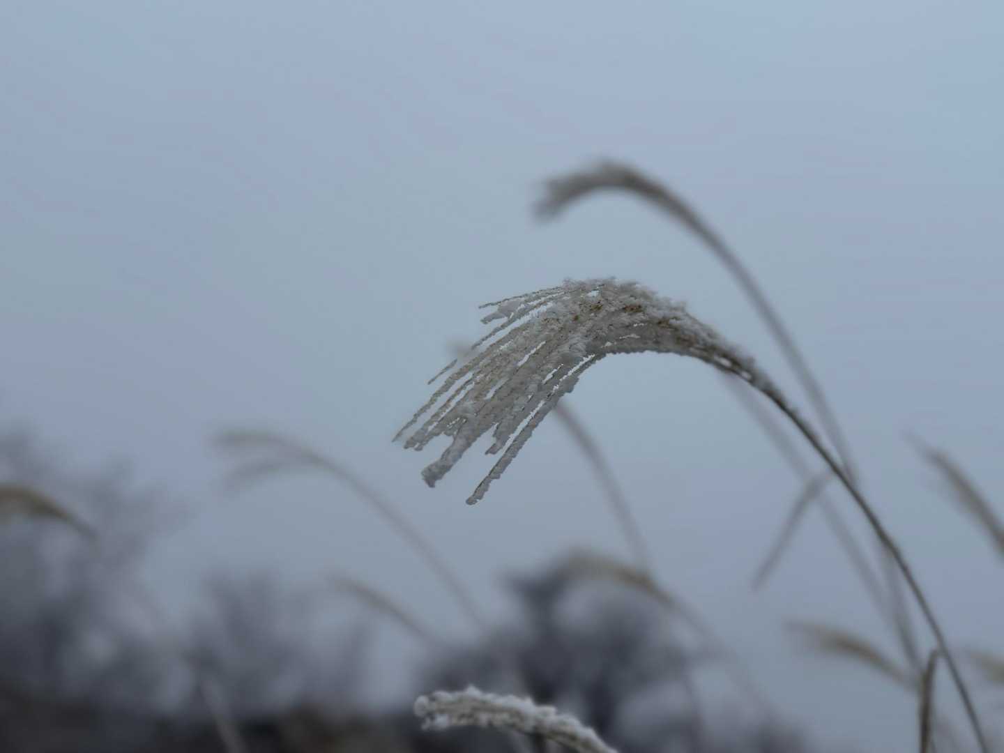 2026登山 #01【塔ノ岳】 / nobi-wanさんの塔ノ岳・丹沢山・蛭ヶ岳の活動データ | YAMAP / ヤマップ