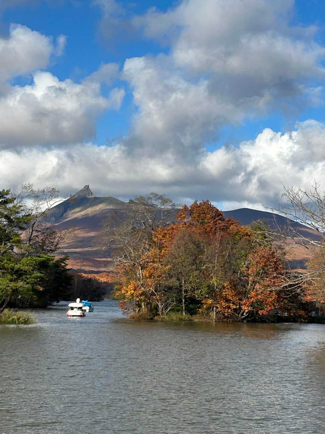 駒ヶ岳 40年ぶり🤣🤣🤣 / 亀さえさんの北海道駒ヶ岳（蝦夷駒ヶ岳・渡島駒ヶ岳）の活動データ | YAMAP / ヤマップ