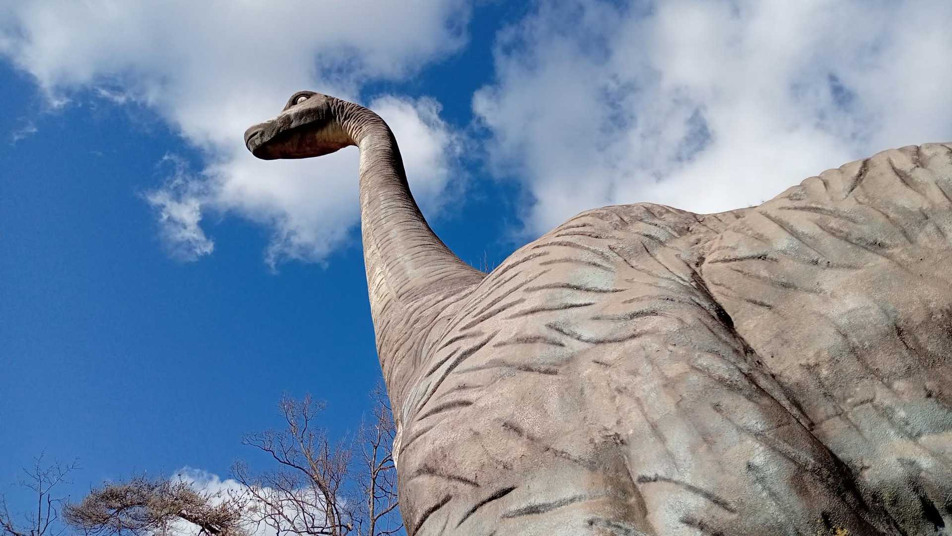 中山 / ZOUSANさんの大小山（妙義山）・西場富士の活動データ | YAMAP / ヤマップ