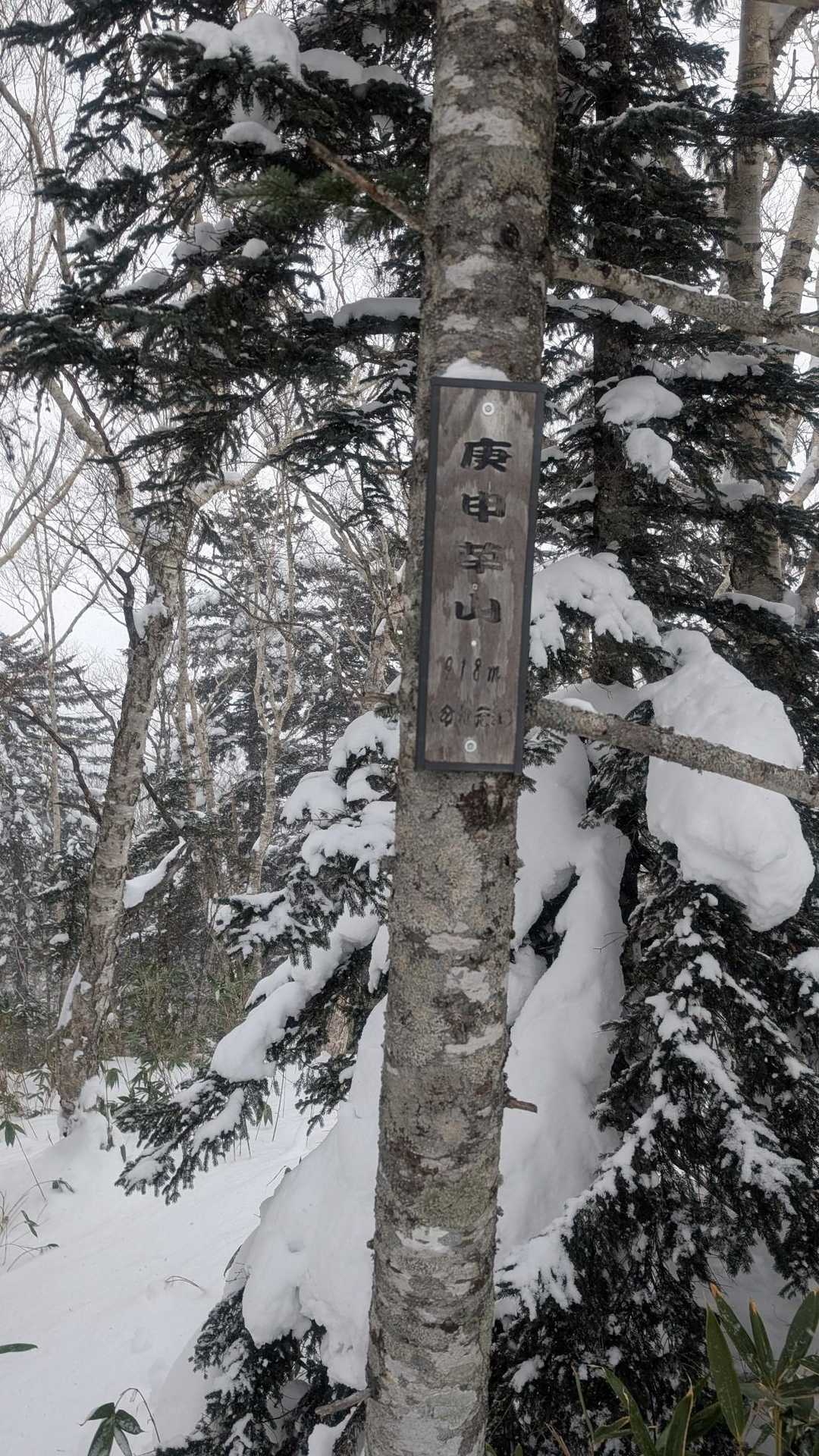 中山峠〜庚申草山 / koji iさんの喜茂別岳の活動データ | YAMAP / ヤマップ