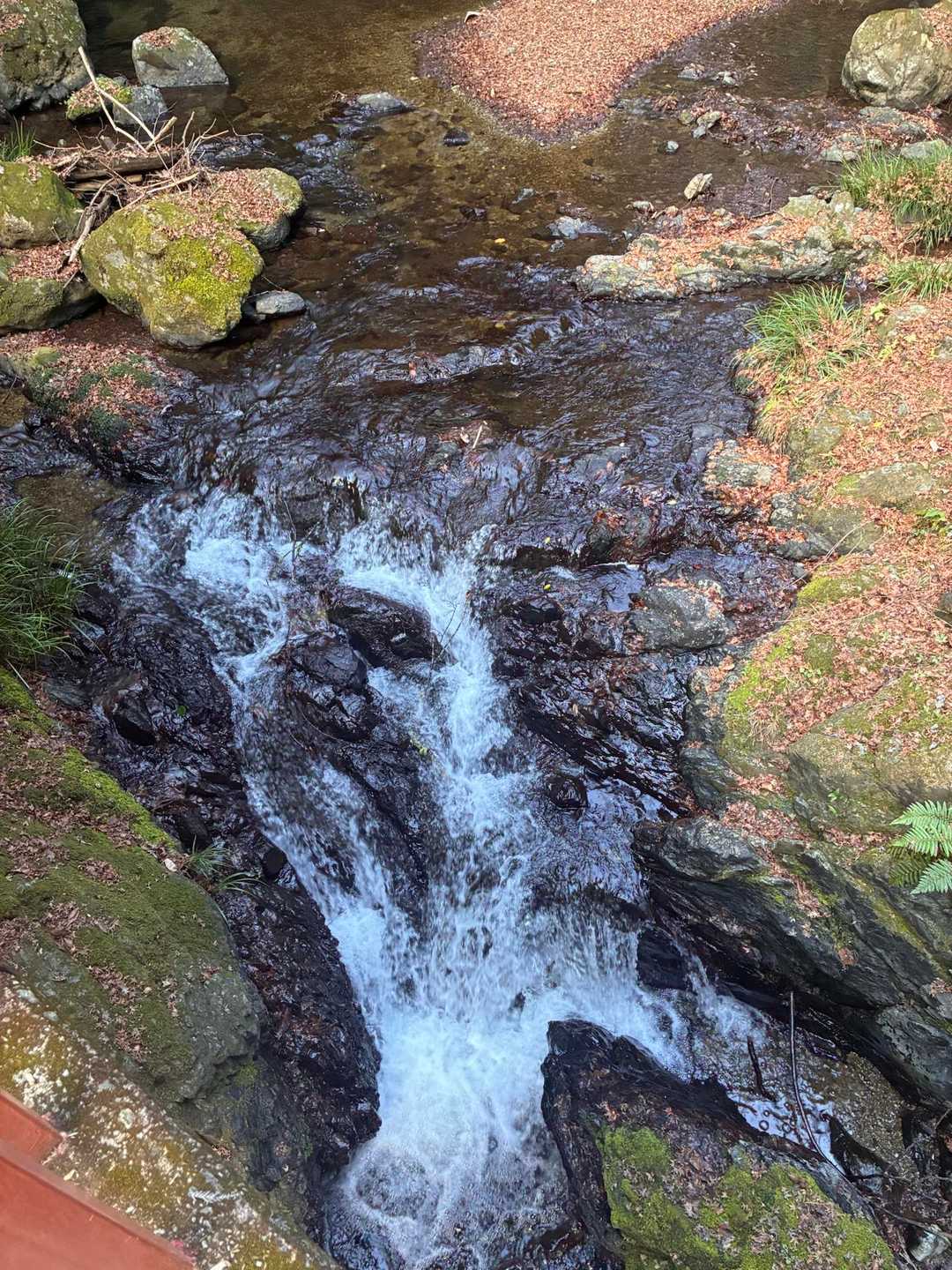 六個山・鉢伏山・明ヶ田尾山・五月山-2025-12-28 / 寛さんの六個山・鉢伏山・明ヶ田尾山・五月山の活動データ | YAMAP / ヤマップ