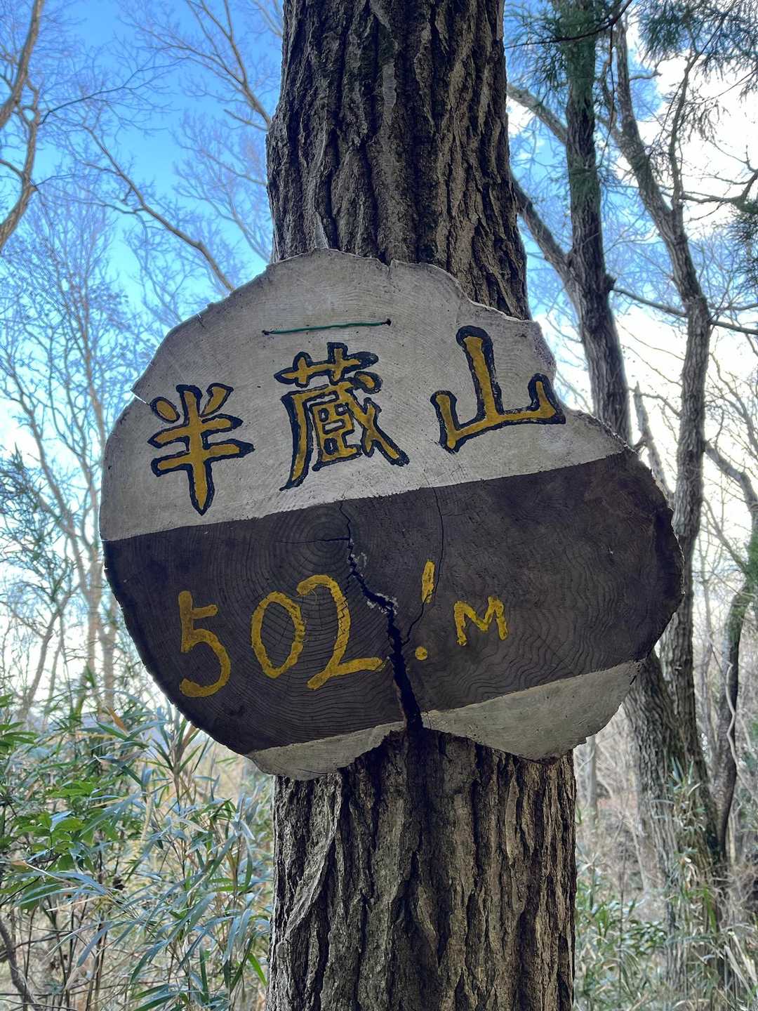 女抱山・半蔵山・男抱山 / まーさんさんの古賀志山・赤岩山・鞍掛山・男抱山・半蔵山の活動データ | YAMAP / ヤマップ