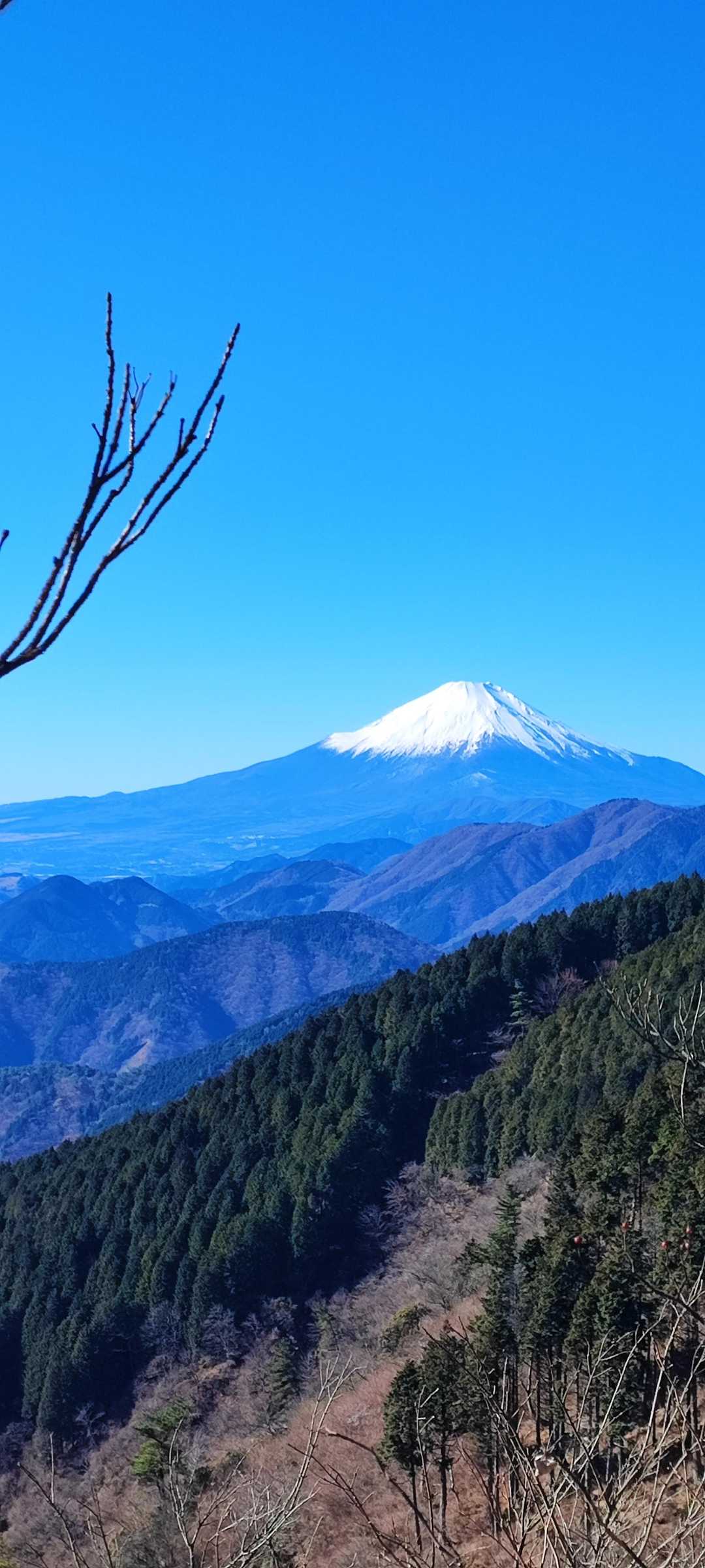 二ノ塔・三ノ塔 / nickyさんの塔ノ岳・丹沢山・蛭ヶ岳の活動データ | YAMAP / ヤマップ