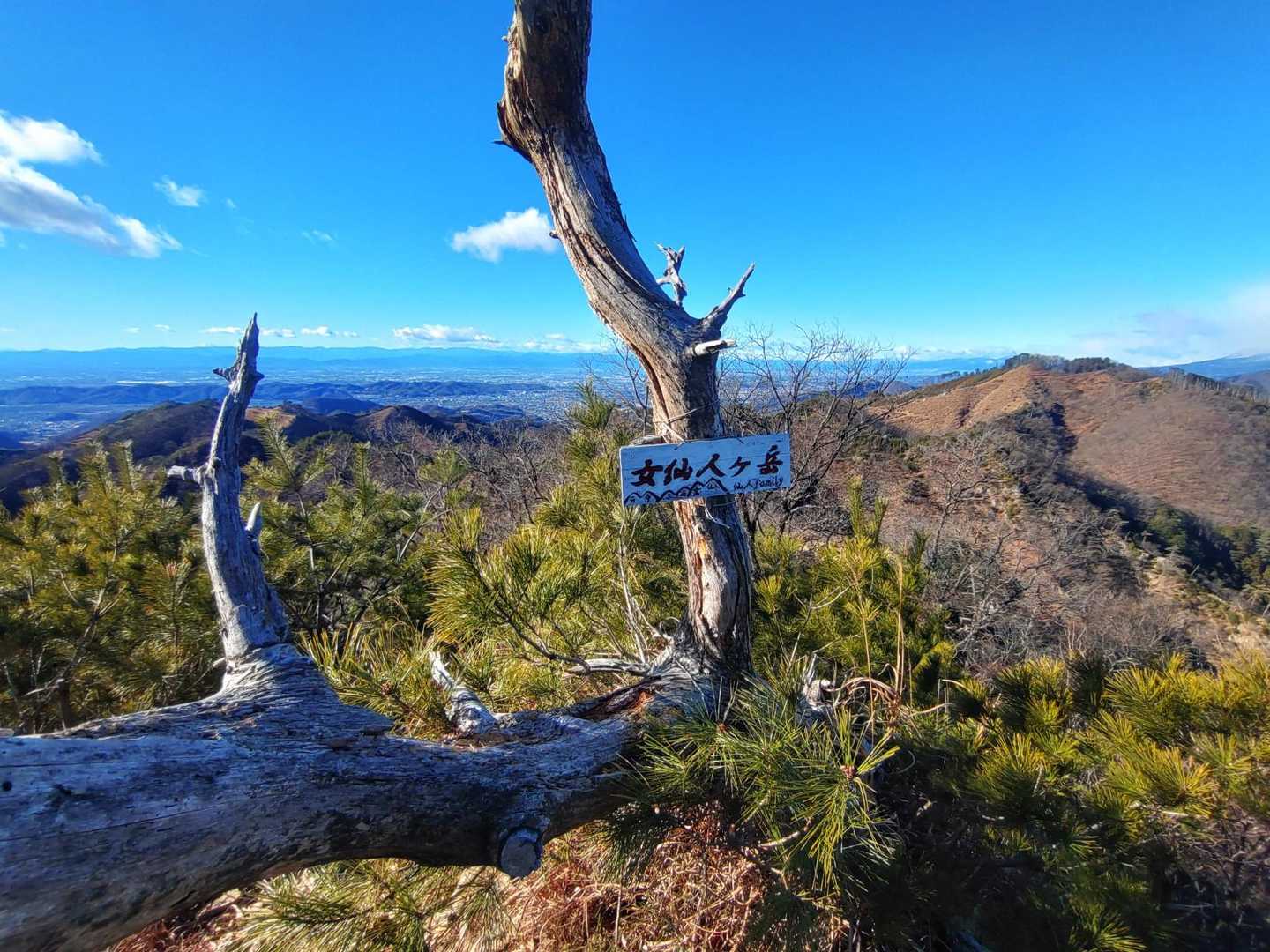 仙人ヶ岳 / tuboさんの鳴神山・吾妻山の活動データ | YAMAP / ヤマップ