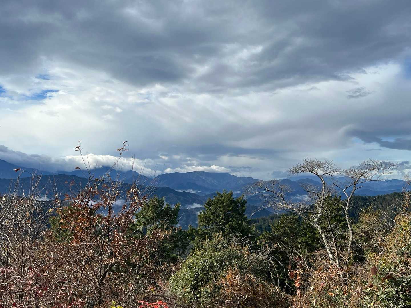 高尾山・曇り / Yayøiさんの高尾山・陣馬山・景信山の活動データ | YAMAP / ヤマップ