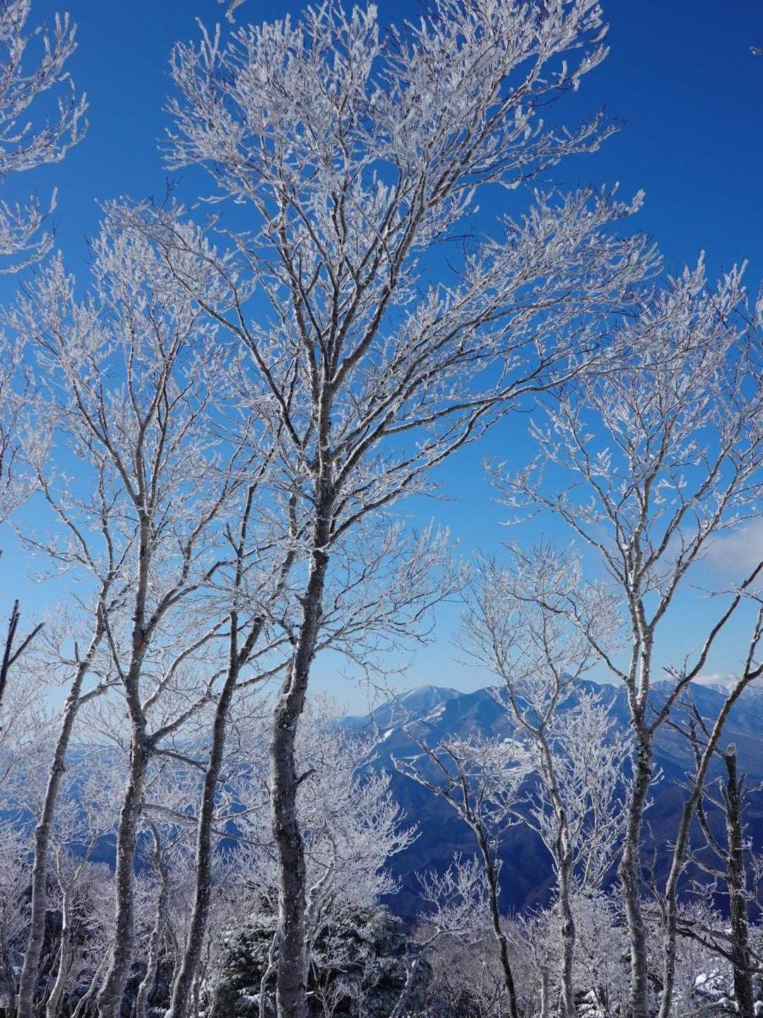 鶏頂山 / ジャンボさんの高原山・釈迦ヶ岳・鶏頂山の活動データ | YAMAP / ヤマップ