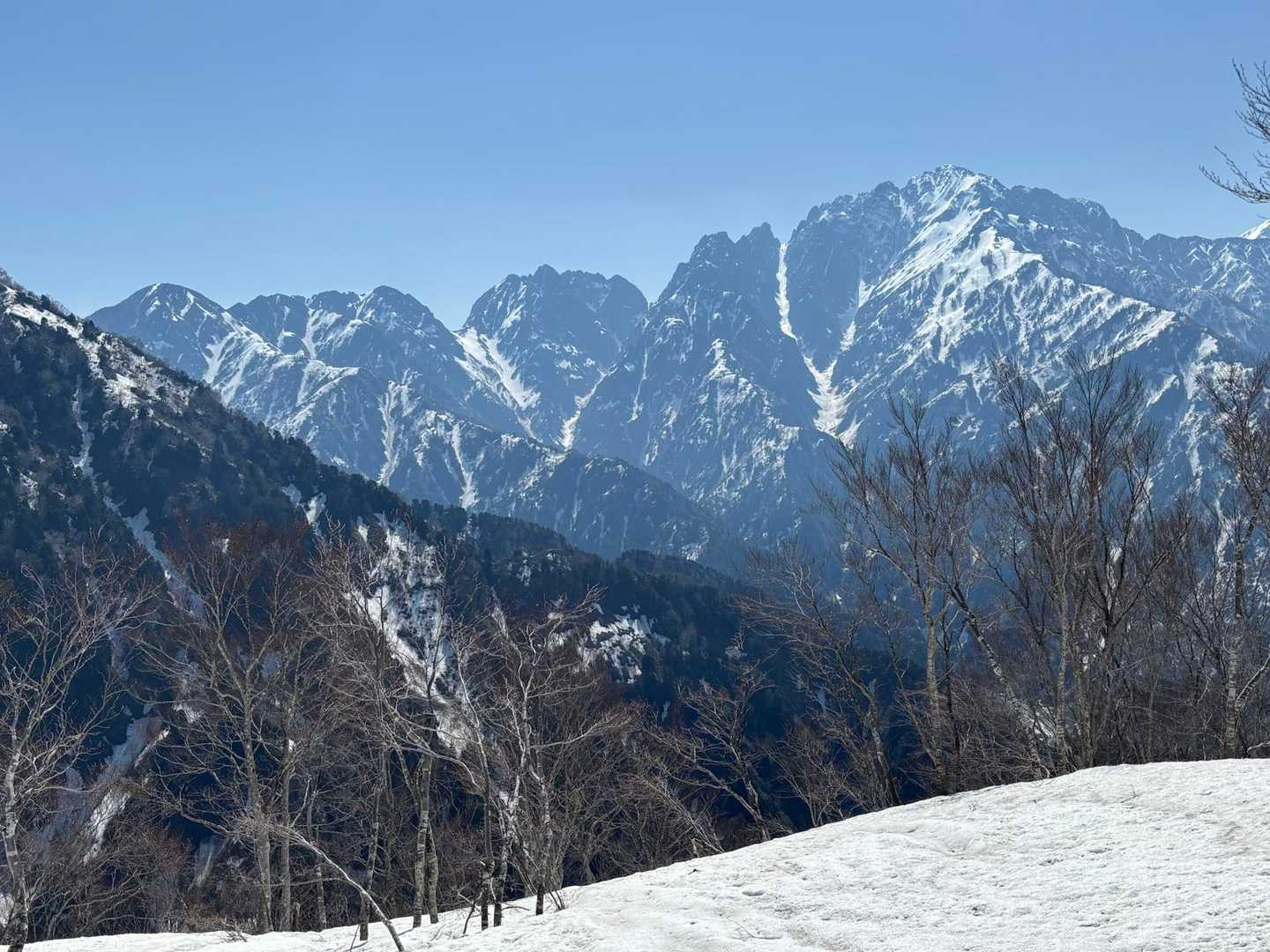 細蔵山と幻の大杉 / 塾長のその他データ | YAMAP / ヤマップ