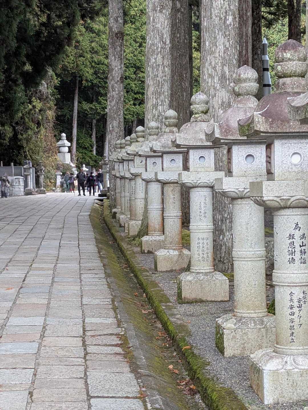 初めての高野参詣道-2025-11-26 / atommamaさんの高野参詣道（高野山・楊柳山・雨引山）の活動データ | YAMAP / ヤマップ