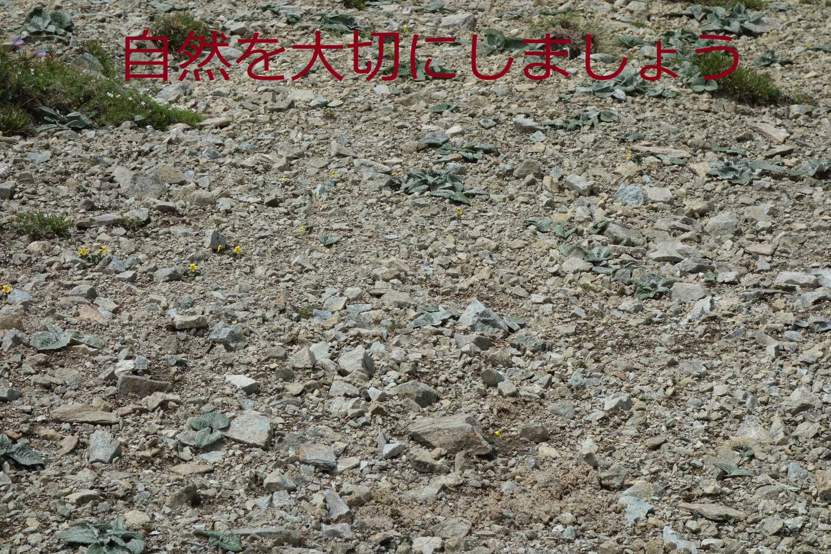 NHKニュース https://www3... / ゲッツーさんのモーメント | YAMAP / ヤマップ