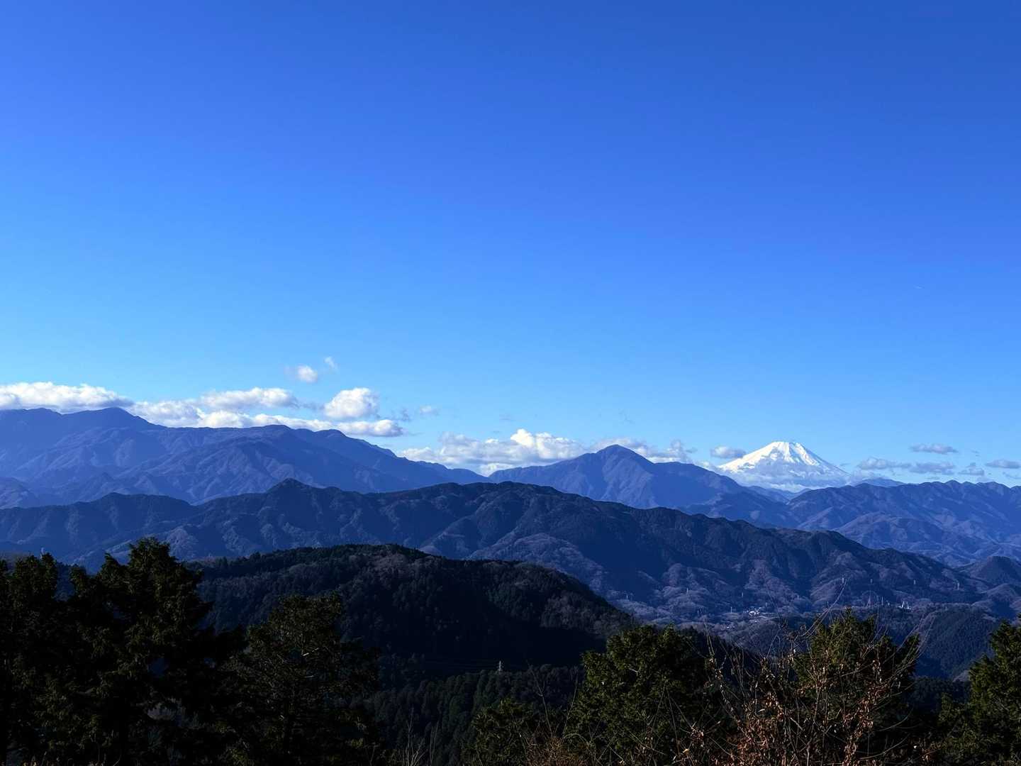 2025年登り納め⛰️高尾山〜陣馬山(TJT) / めぐさんの高尾山・陣馬山・景信山の活動データ | YAMAP / ヤマップ