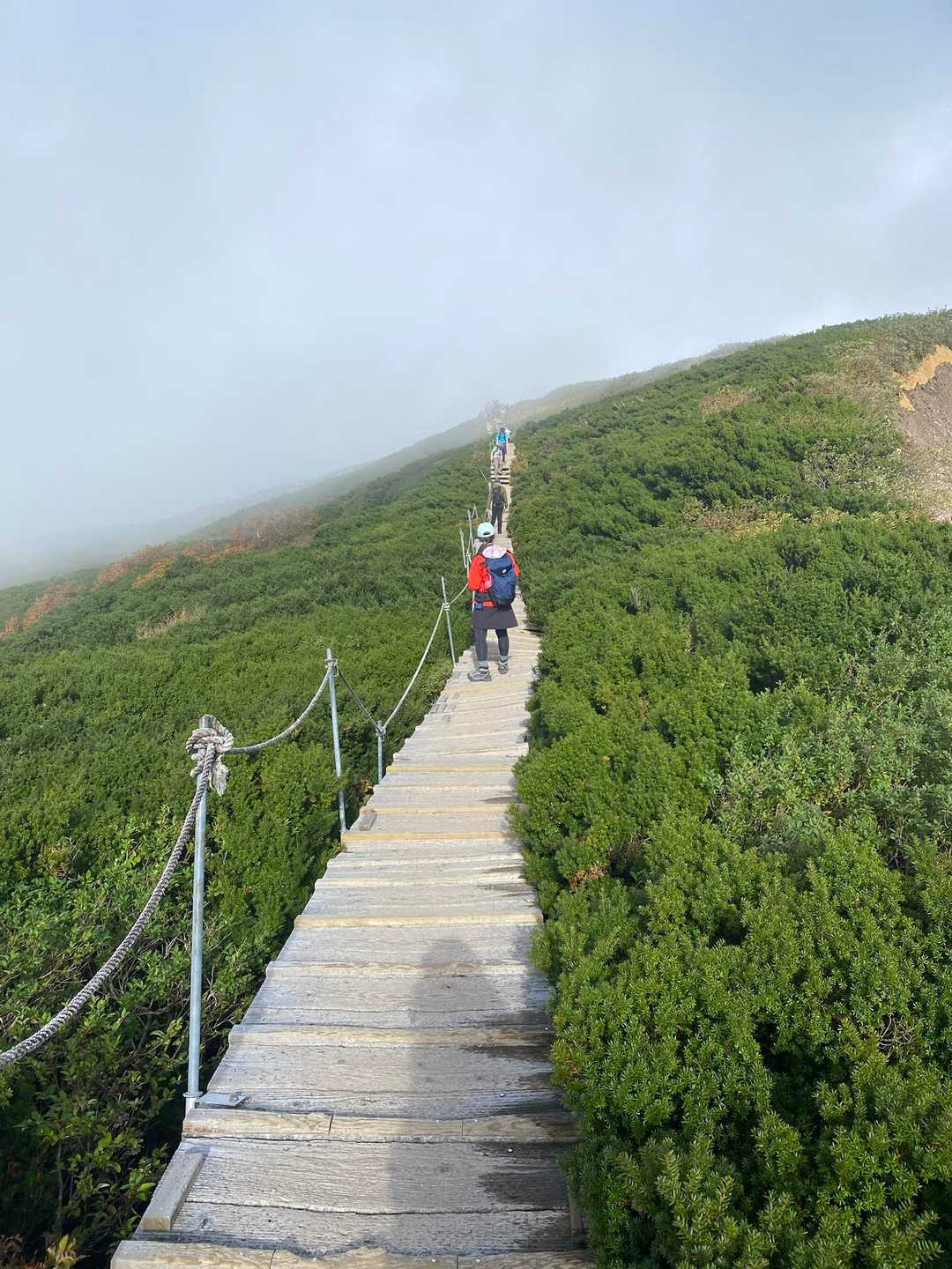 大山（弥山） / ひなっちさんの大山・甲ヶ山・野田ヶ山の活動データ | YAMAP / ヤマップ