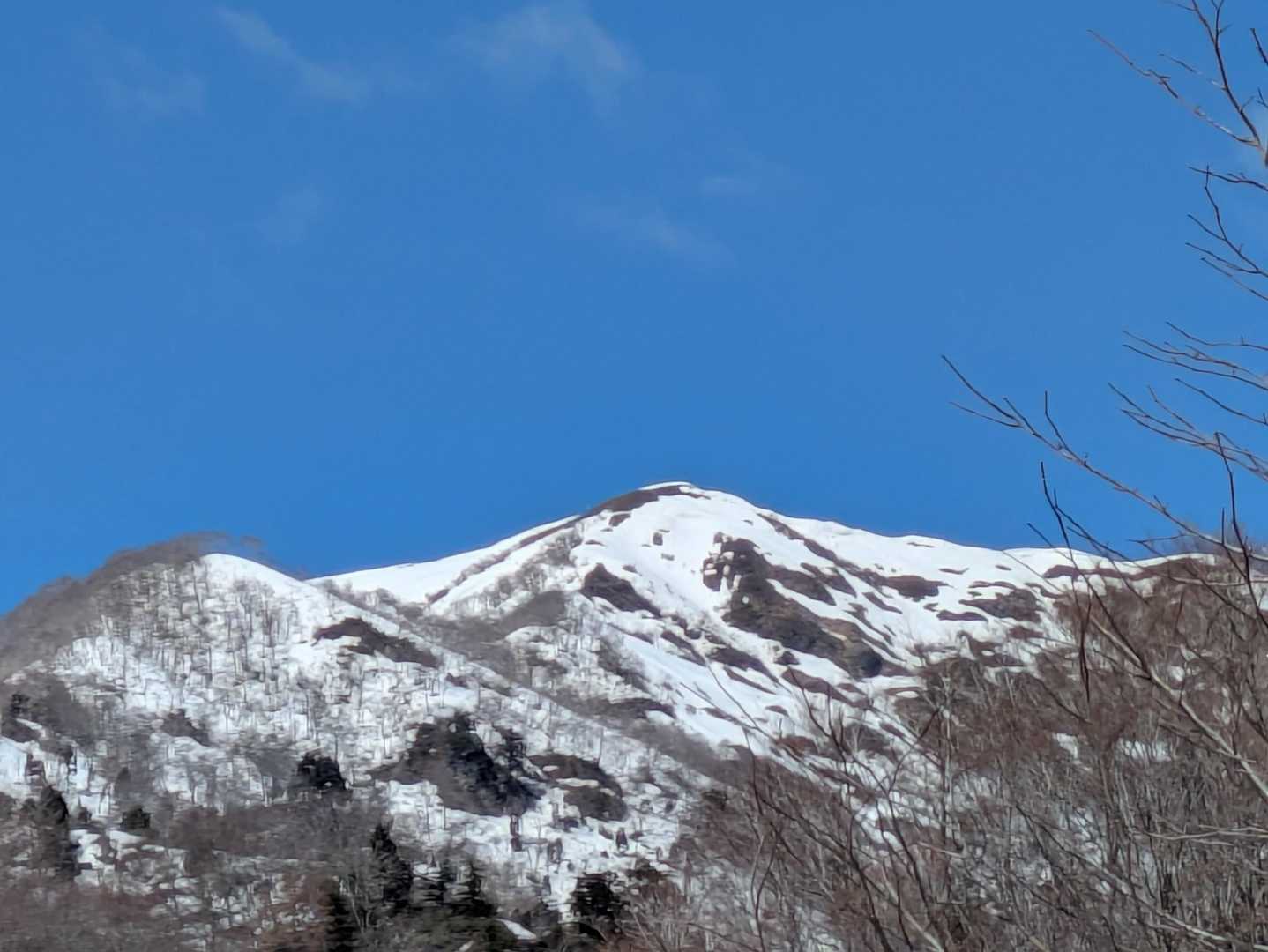 金草岳への尾根偵察🎉🎀🌺 冠山・金草岳-2026-03-12 / mooかめの登山データ | YAMAP / ヤマップ