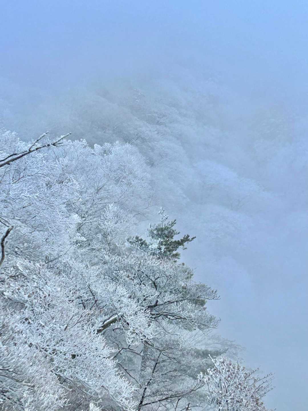 登り納めは赤城山 / うめきんとんさんの赤城山・黒檜山・荒山の活動データ | YAMAP / ヤマップ