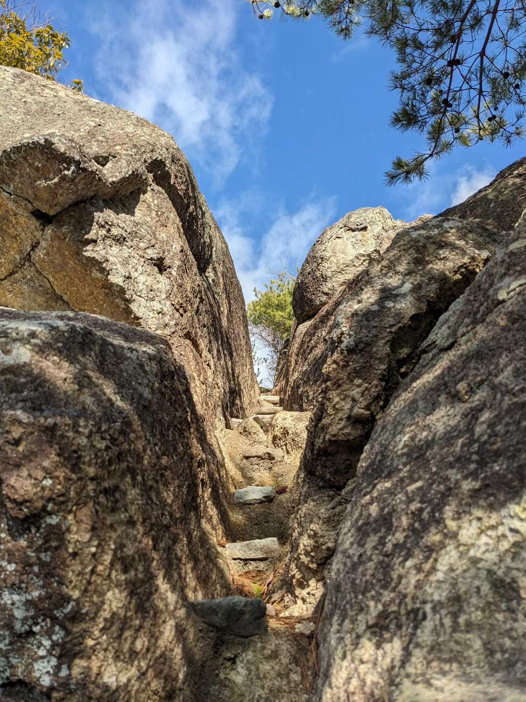 明神山 / seigoさんの明神山・太郎岳の活動データ | YAMAP / ヤマップ