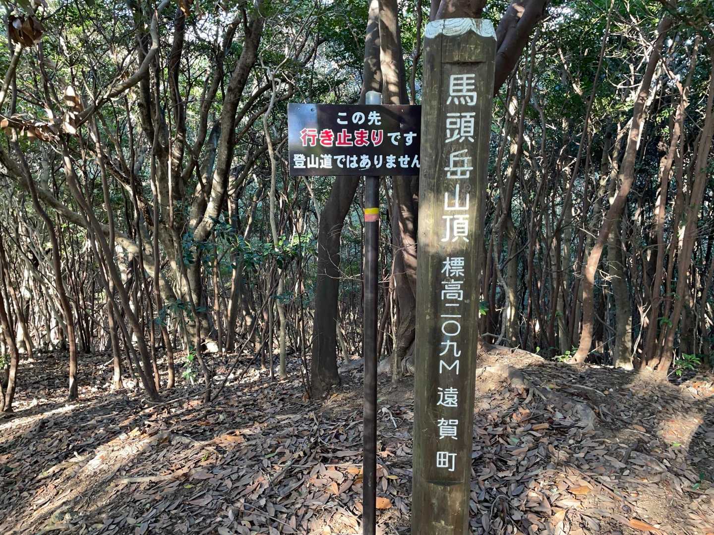 大谷山・馬頭岳・アリーナヶ丘 / ゆうさんの湯川山・城山・孔大寺山の活動データ | YAMAP / ヤマップ