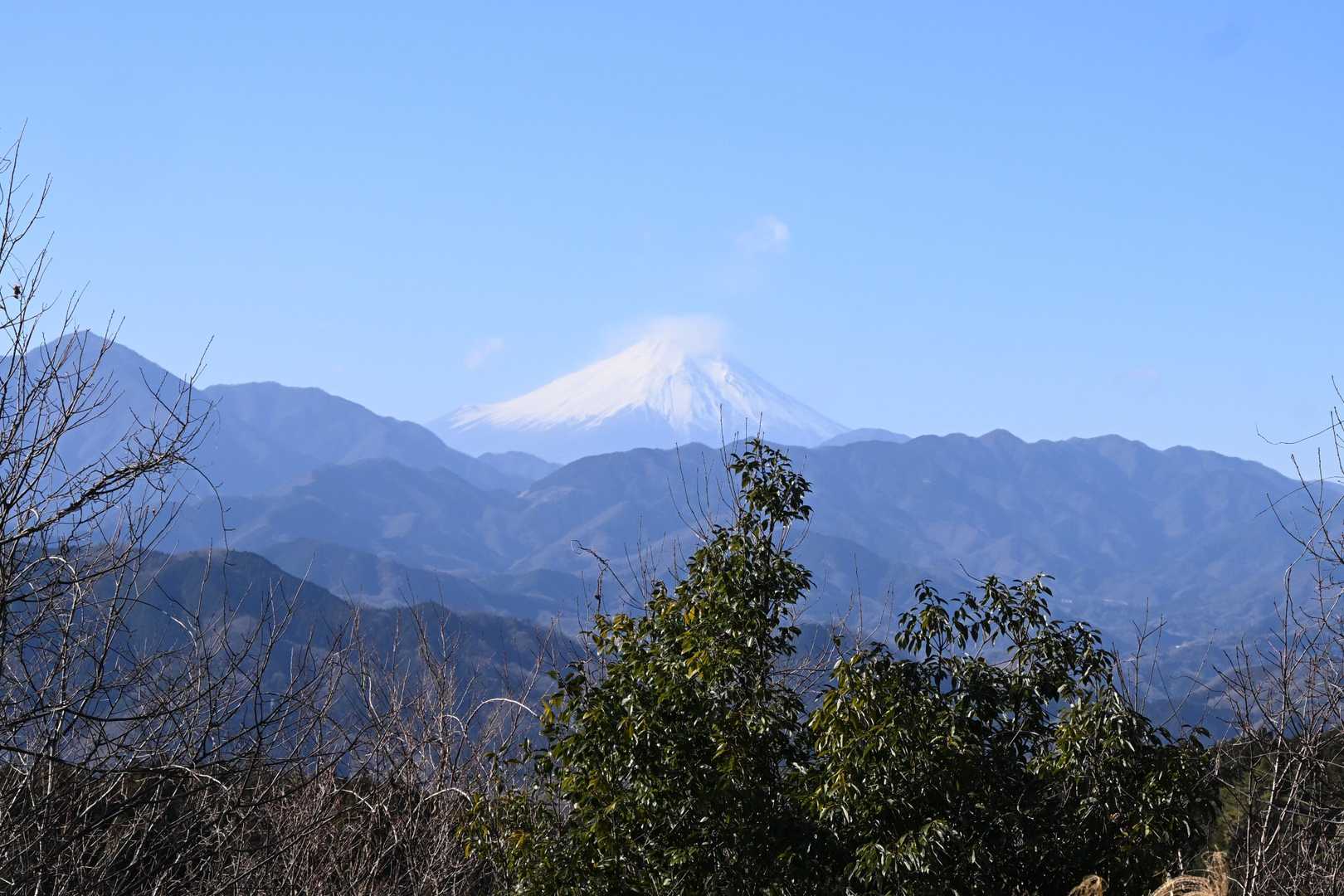 今年も空振りでした💦 / なまちゃんさんの高尾山・陣馬山・景信山の活動データ | YAMAP / ヤマップ