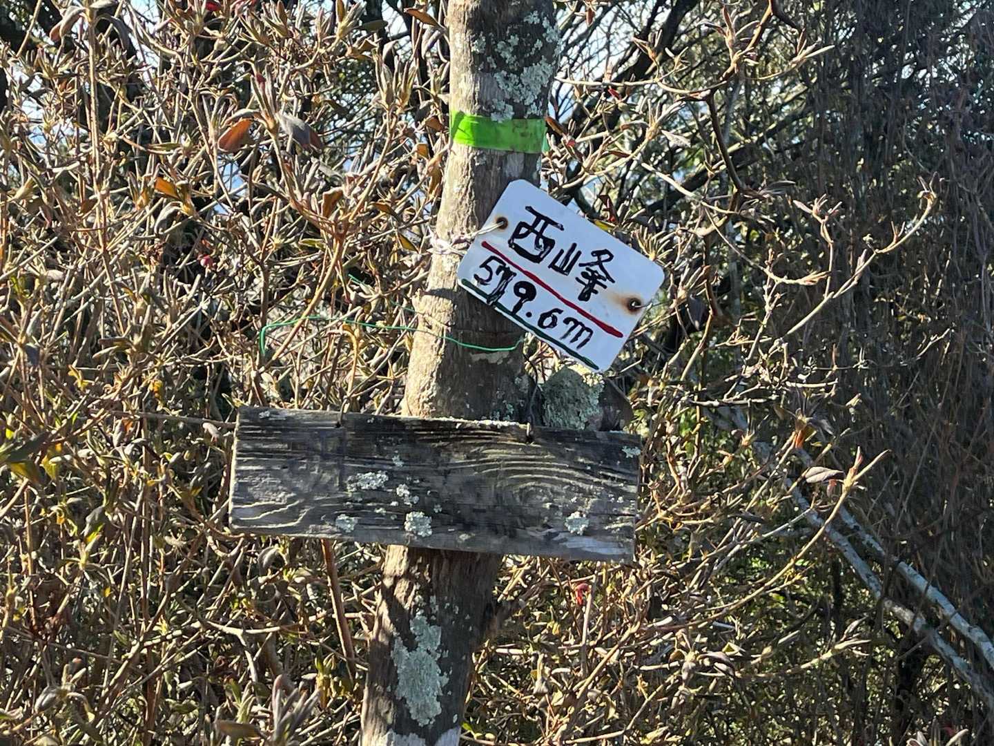 雨引山・平尾・明星ヶ岳（西峰）【鈴鹿300座：114-116】 / pakupaku33さんの羽黒山・筆捨山・観音山の活動データ ...