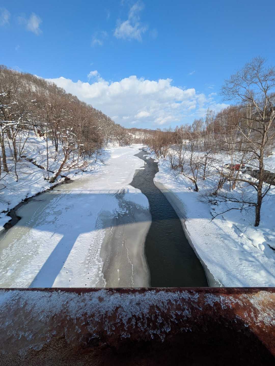 嵐山からの近文山 / Ponkoさんの嵐山公園・近文山・半面山の活動データ | YAMAP / ヤマップ