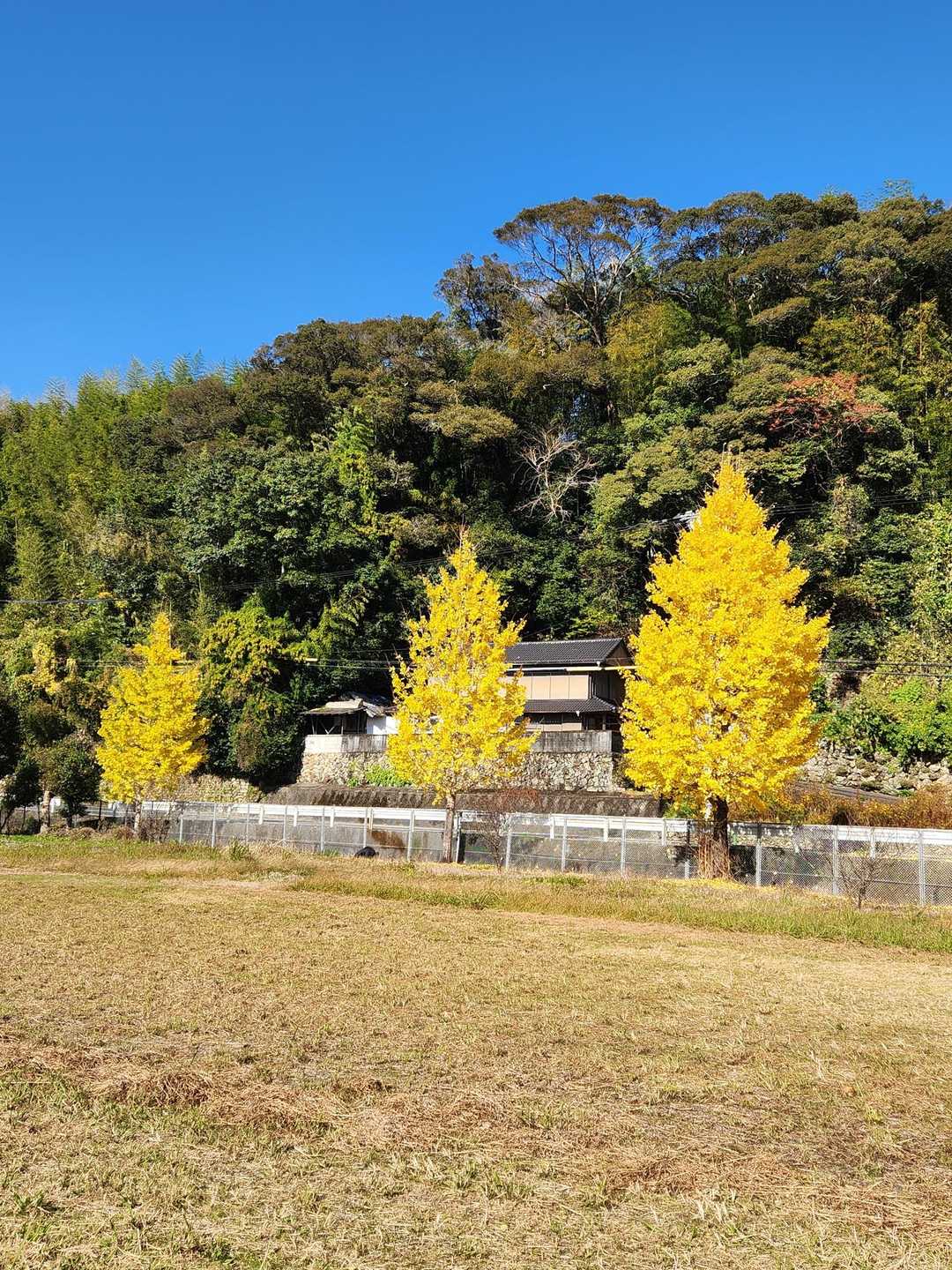 水天宮 / ヤマッピーさんの日高村の活動データ | YAMAP / ヤマップ