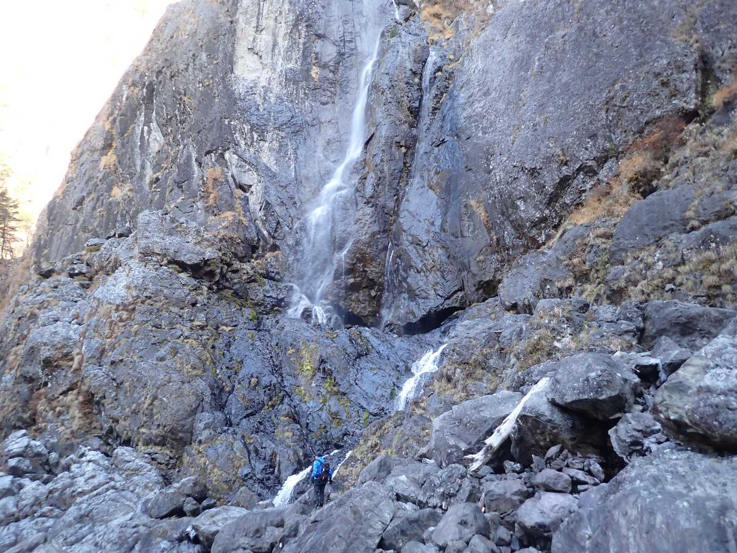 大台ヶ原 滝見尾根 / 555さんの大台ヶ原山・日出ヶ岳・大杉谷の活動データ | YAMAP / ヤマップ