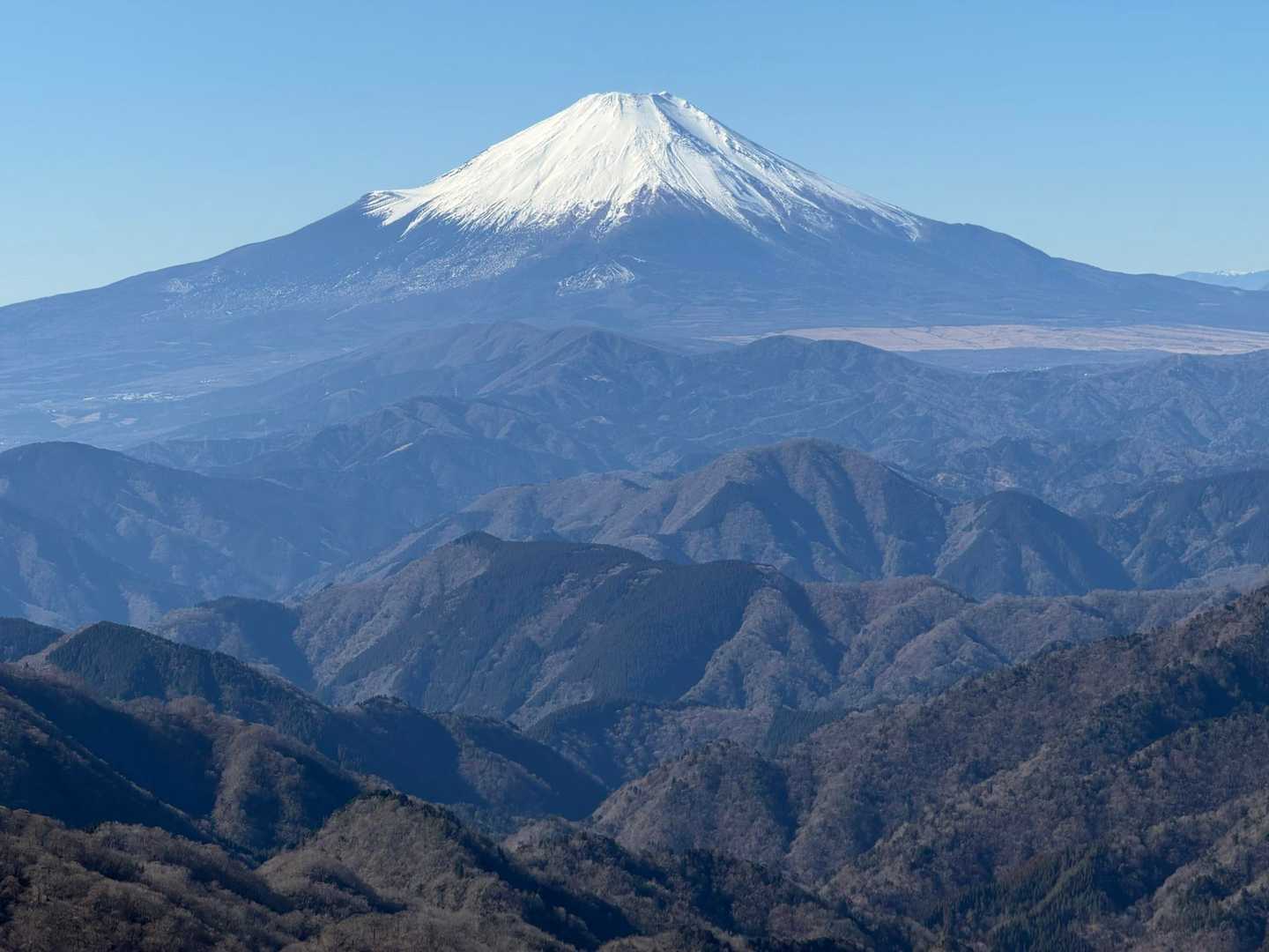 馬鹿尾根からの表尾根〜ヤビツ峠レストハウス / YOKIAさんの塔ノ岳・丹沢山・蛭ヶ岳の活動データ | YAMAP / ヤマップ