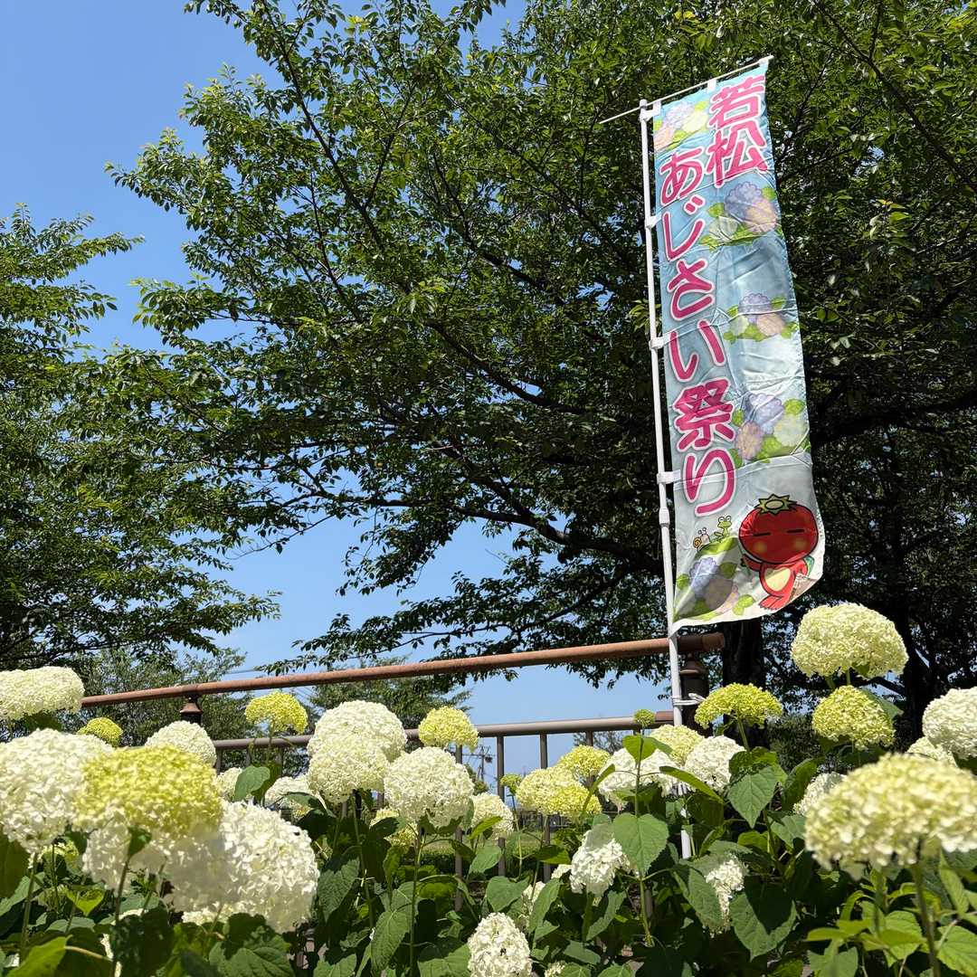 💠あじさい巡り3ヶ所目・高塔山 / こうのすけの登山データ | YAMAP / ヤマップ