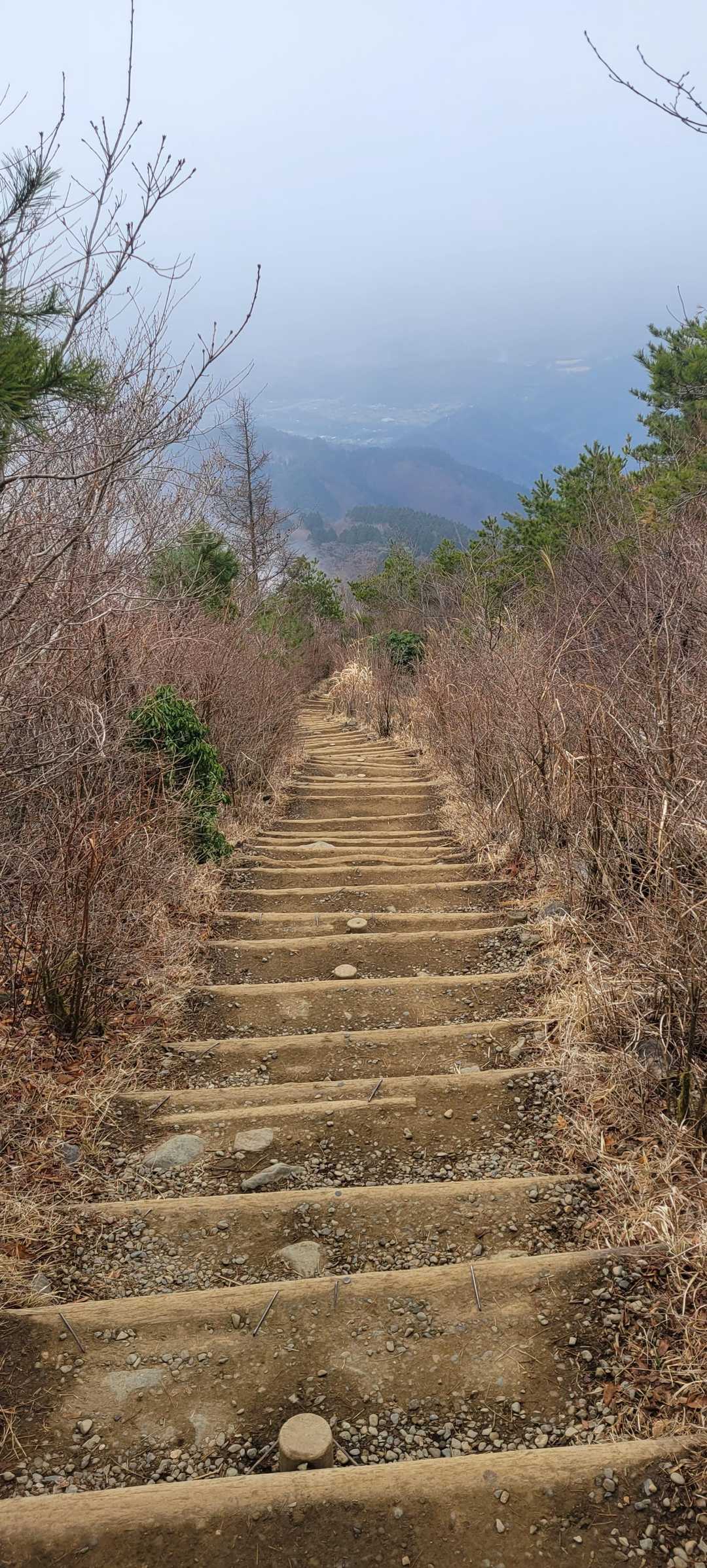 堀山・塔ノ岳 / minachu_さんの塔ノ岳・丹沢山・蛭ヶ岳の活動データ | YAMAP / ヤマップ