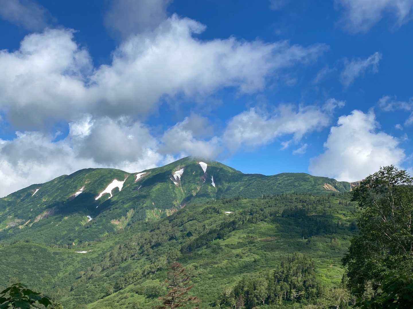 火打山 / mtakoさんの妙高山・火打山の活動データ | YAMAP / ヤマップ