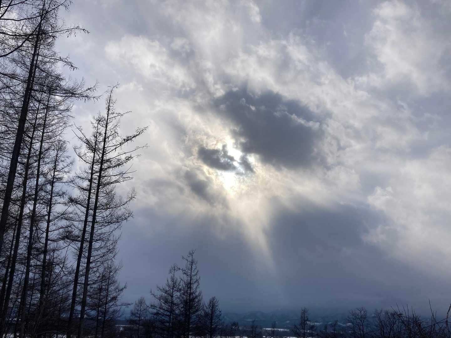 2025 last new嵐山 / owl 🦉さんの新嵐山の活動データ | YAMAP / ヤマップ