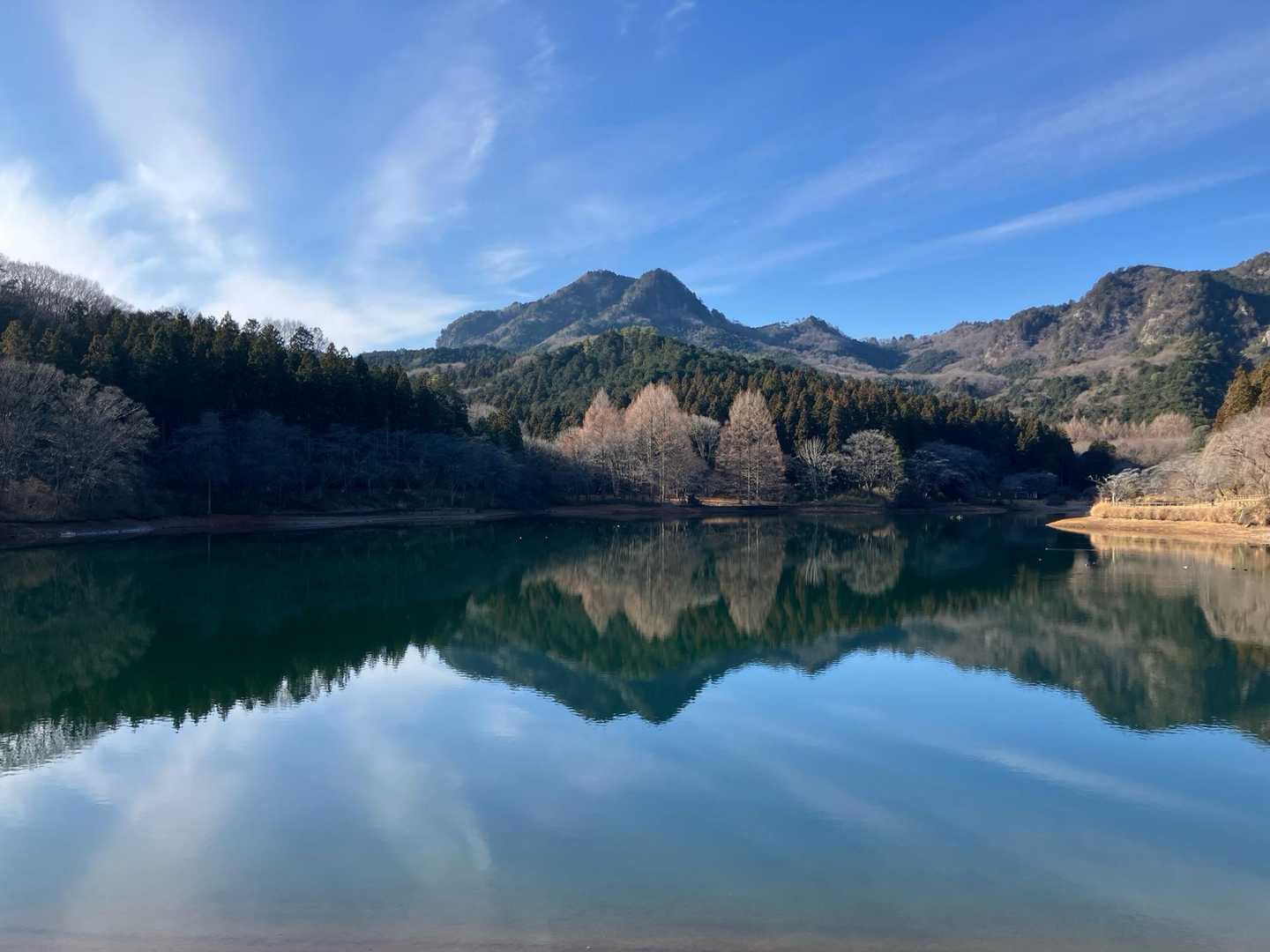 古賀志山・坊主山 2025.12.27土曜日 日本百低山 / オギさんの古賀志山・赤岩山・鞍掛山・男抱山・半蔵山の活動データ | YAMAP ...