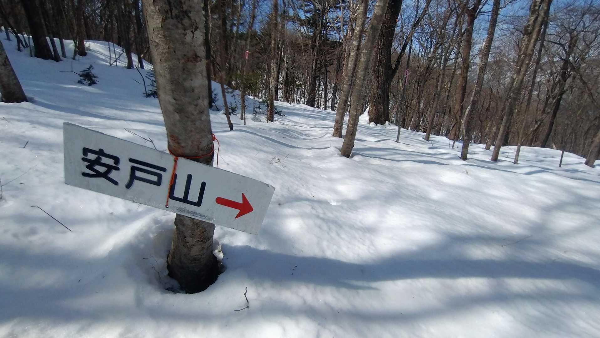 安戸山 / Toshiさんの安戸山の活動データ | YAMAP / ヤマップ