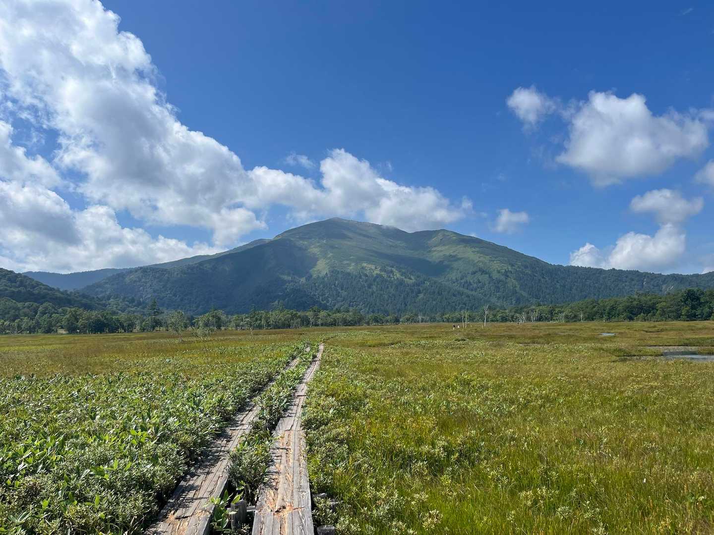 至仏山・小至仏山 / yukiさんさんの尾瀬・燧ヶ岳の活動データ | YAMAP / ヤマップ