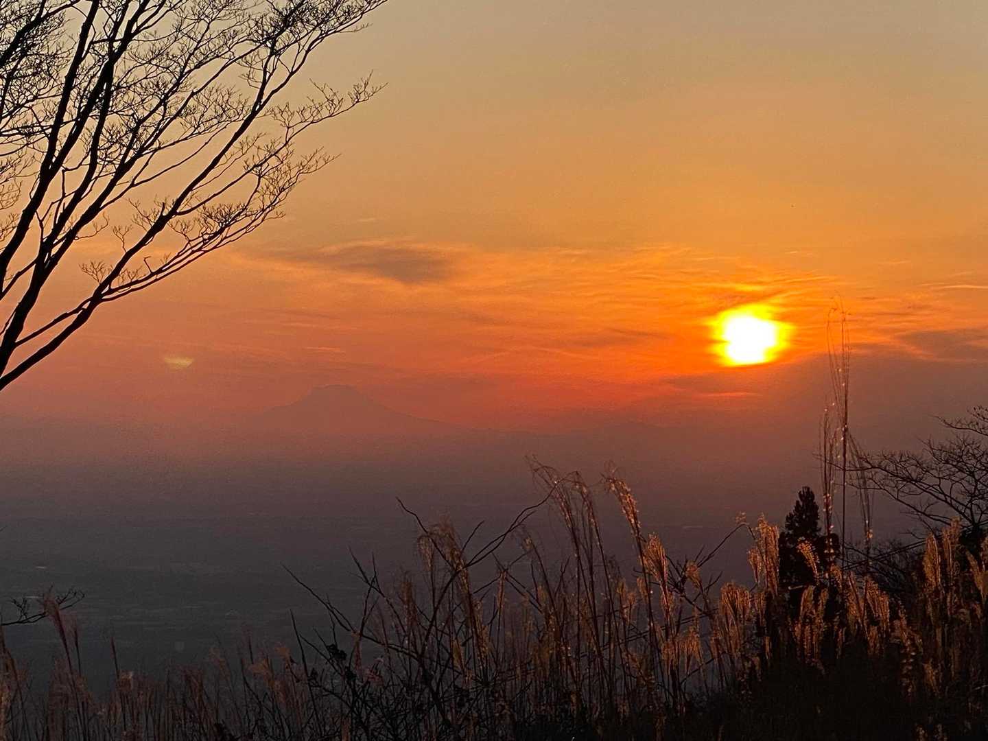 筑波山（女体山）・筑波山（男体山） / カルロスさんの筑波山の活動データ | YAMAP / ヤマップ