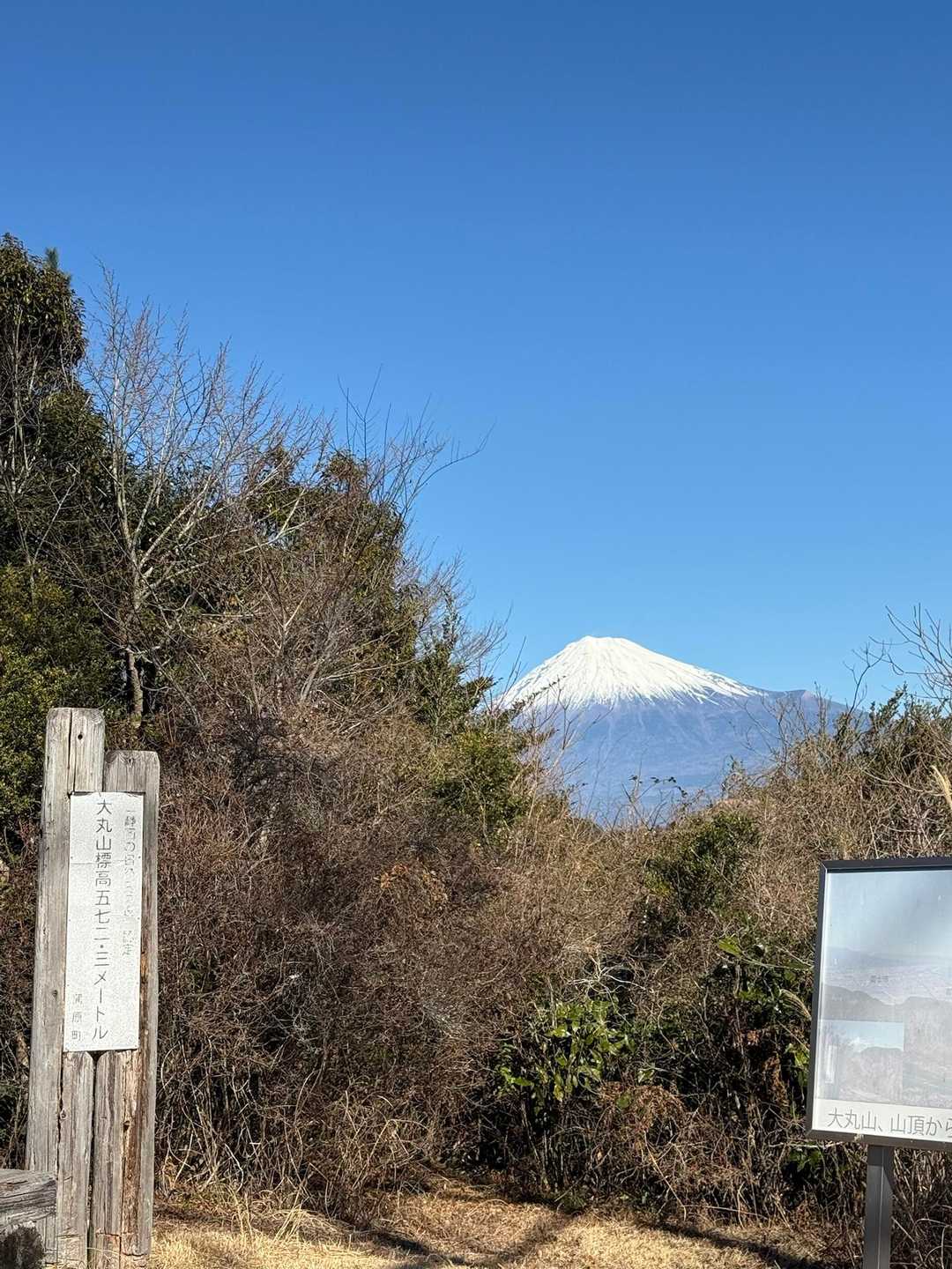 大平山・大久保山・大丸山 / まちゃさんの金丸山・大丸山・雨乞山の活動データ | YAMAP / ヤマップ