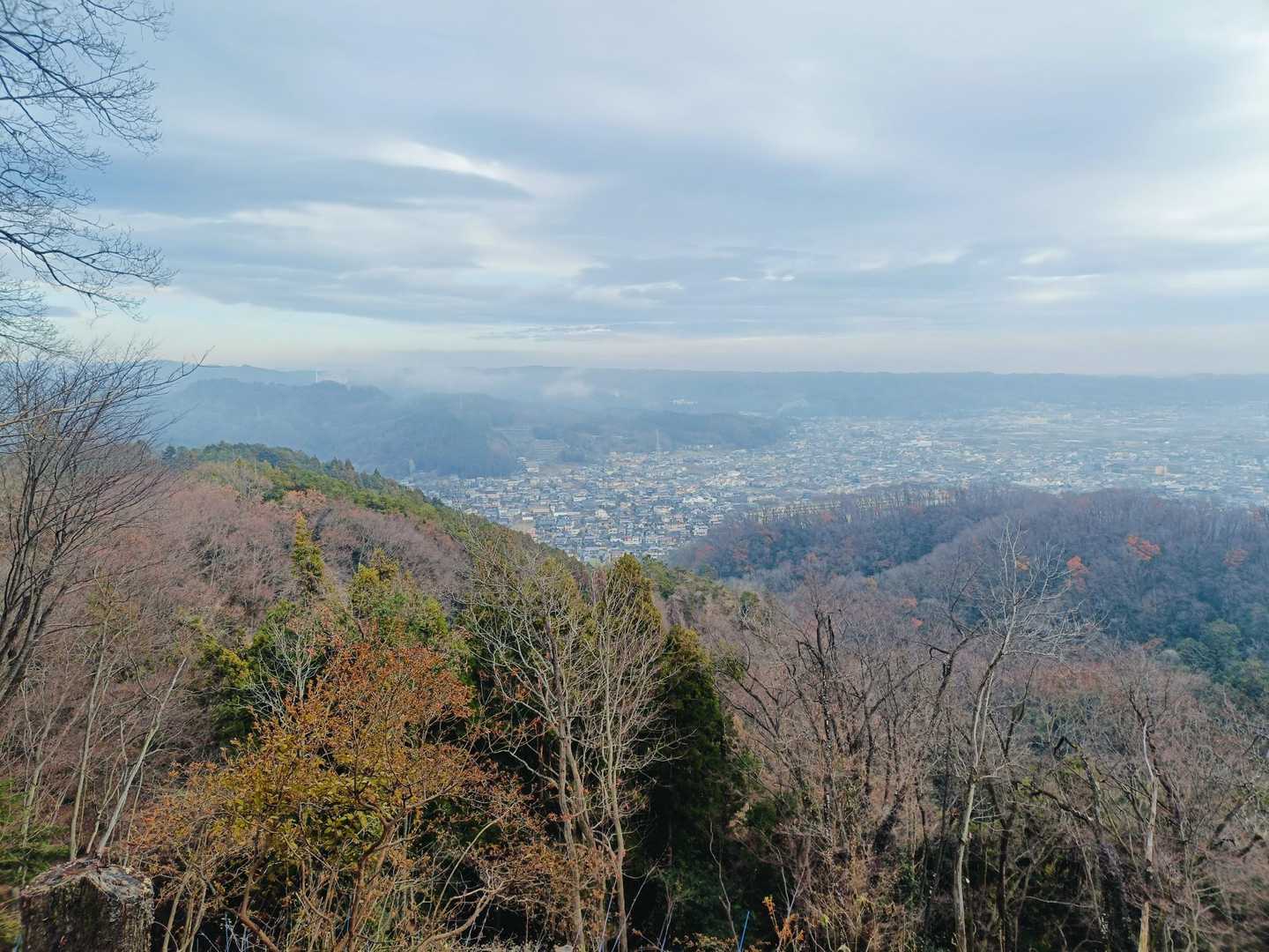 多摩百山 網代城山・唐松山・天竺山 / kooさんの網代弁天山・網代城山の活動データ | YAMAP / ヤマップ