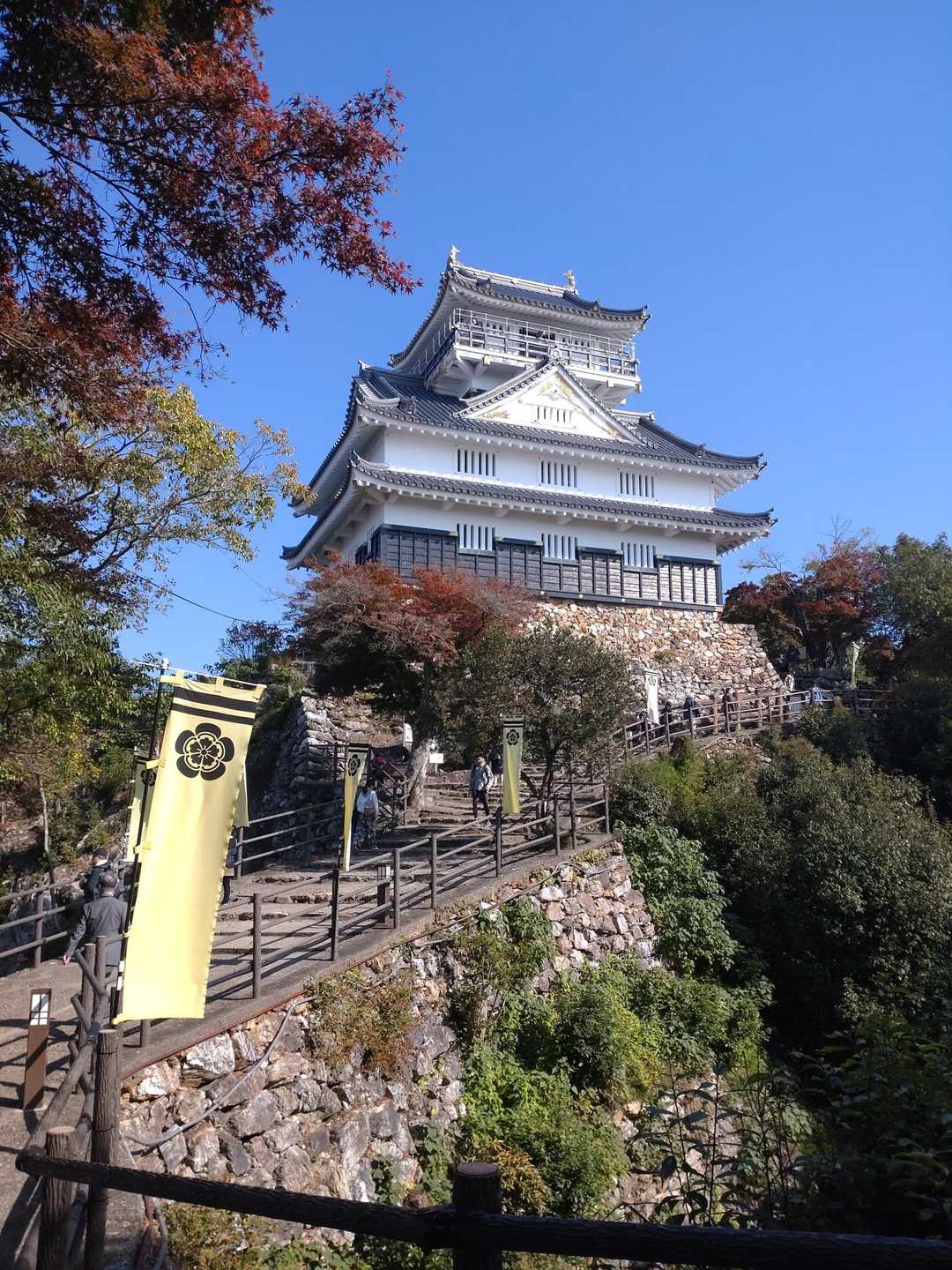 金華山 / brassicaさんの金華山・洞山・舟伏山の活動データ | YAMAP / ヤマップ