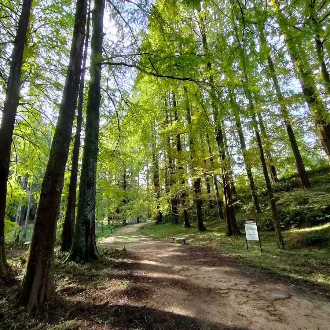 星田園地と大阪公立大学附属植物園 / ウインズ難波さんの交野山・国見山の活動データ | YAMAP / ヤマップ